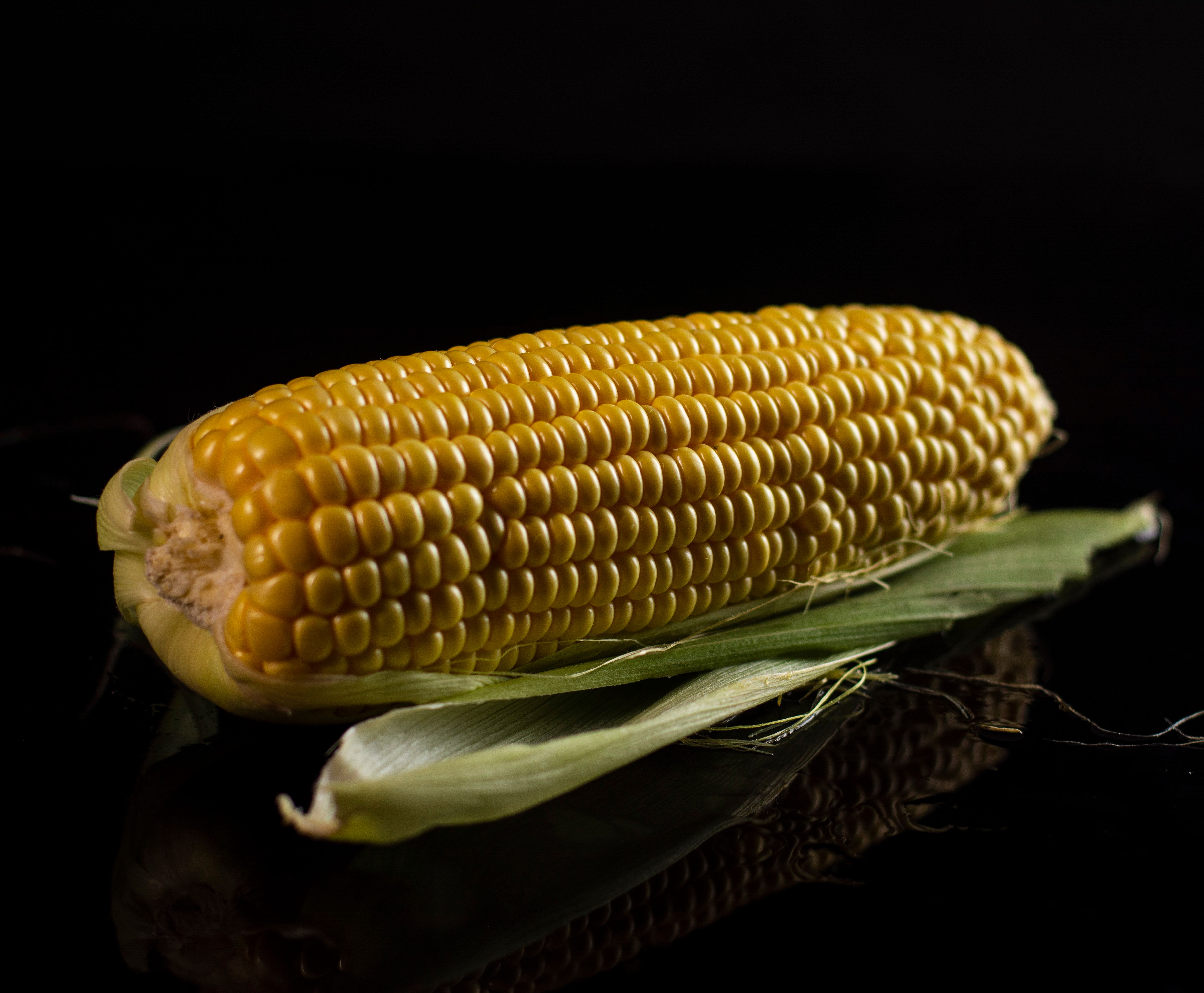 Primer Plano De Mazorca De Maíz Amarillo Fresco · Foto de stock gratuita