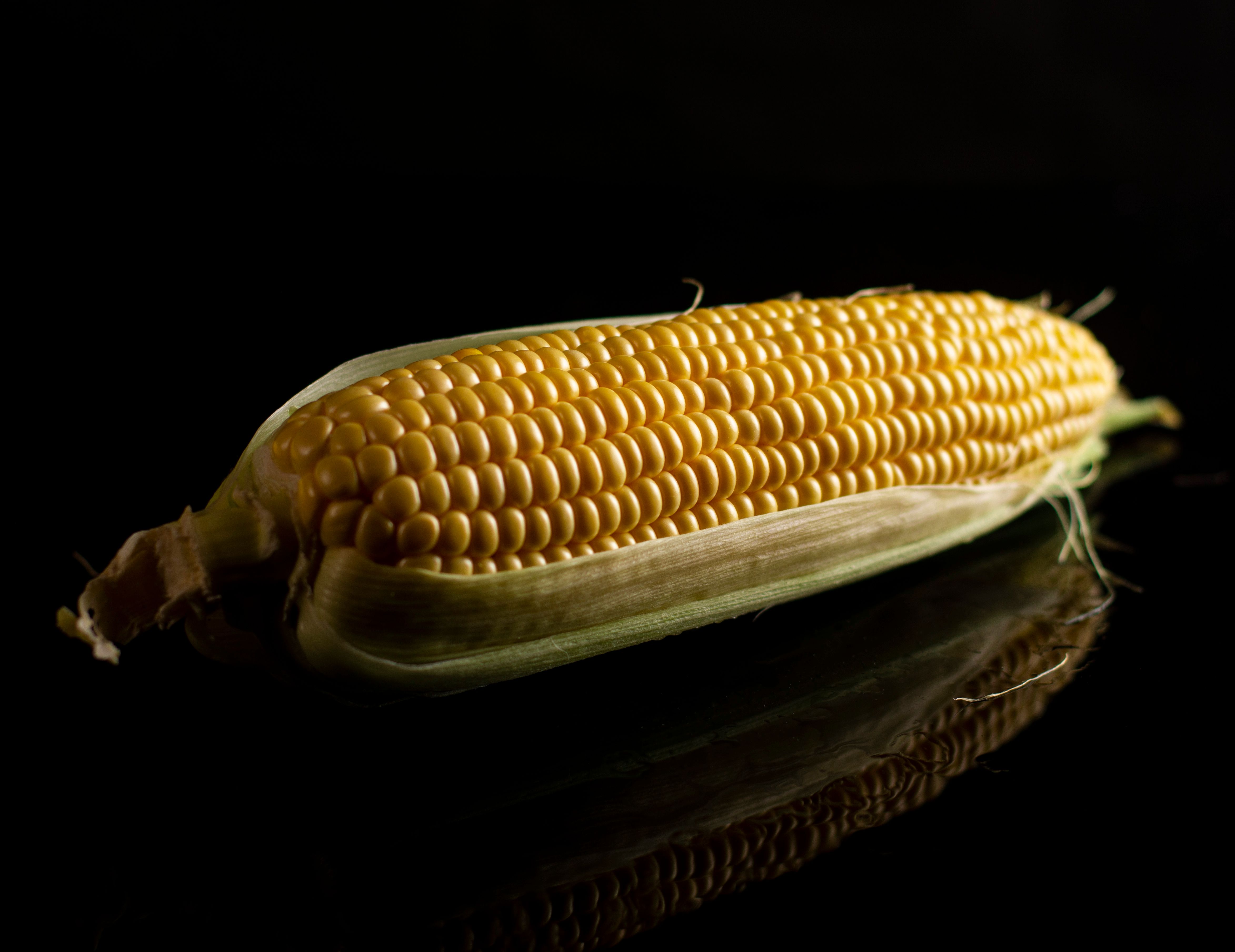 Close-up of Fresh Yellow Corn on Black Background · Free Stock Photo