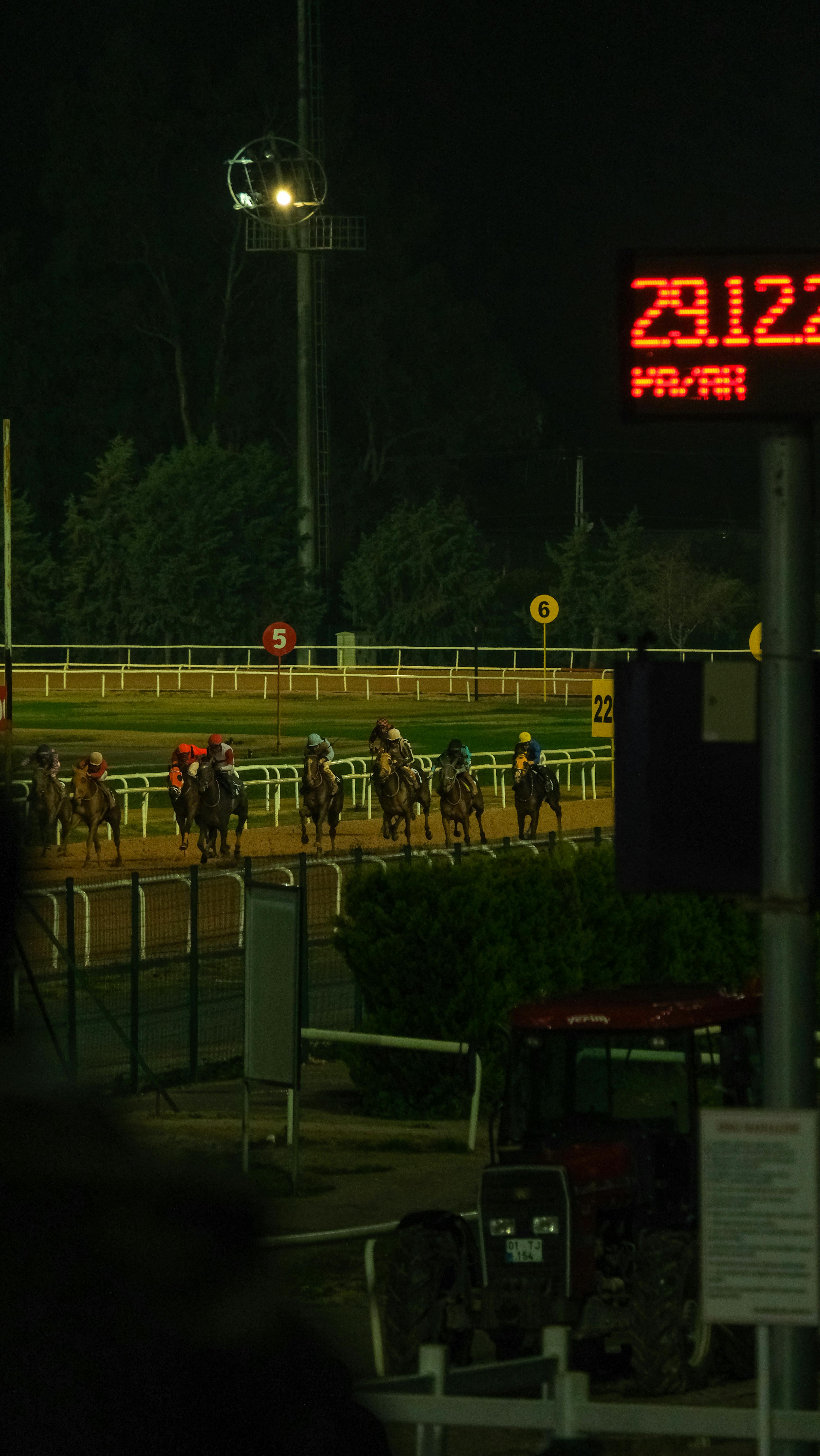 Nighttime Horse Racing Track Scene · Free Stock Photo