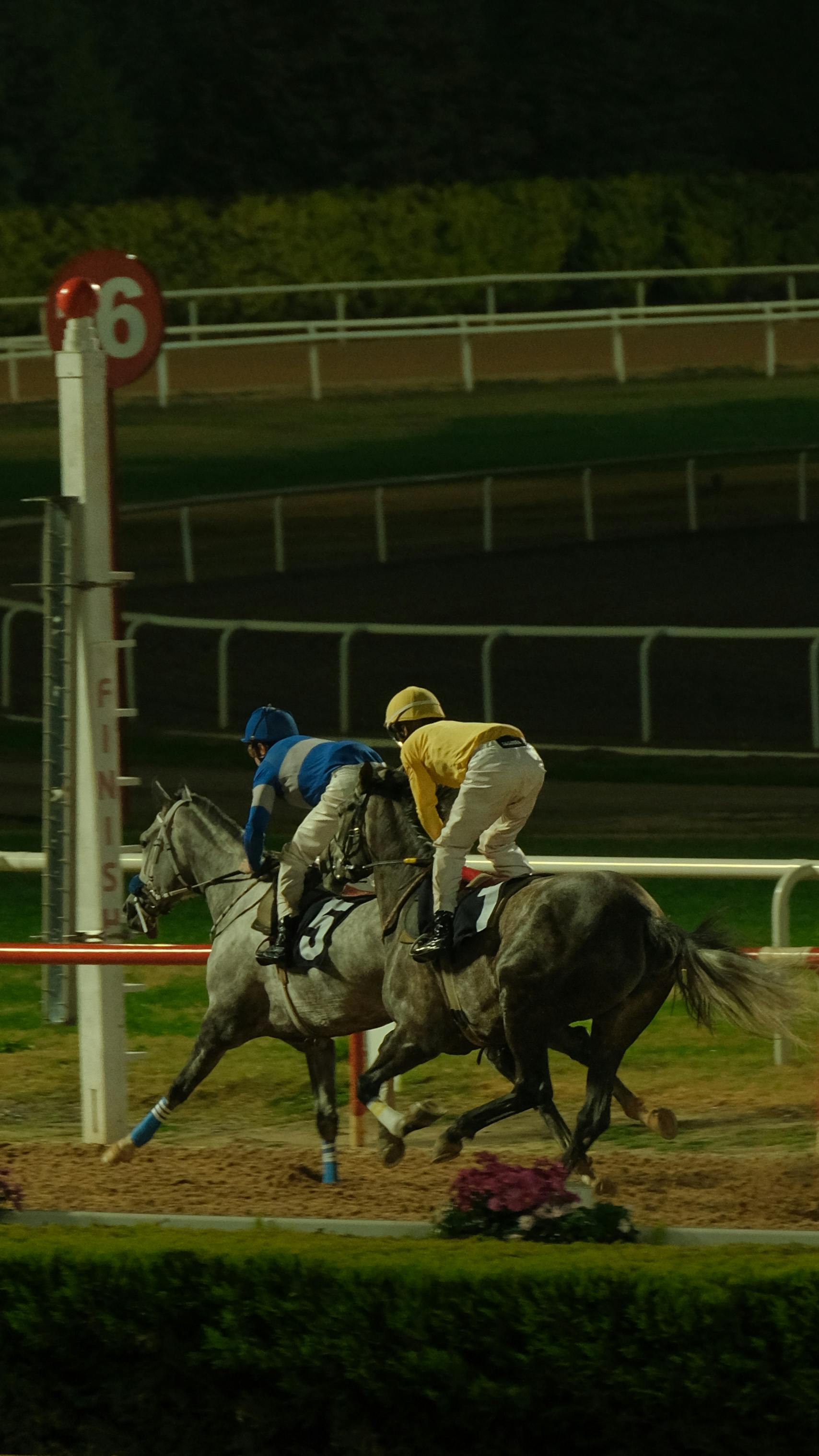Thrilling Nighttime Horse Racing Event · Free Stock Photo