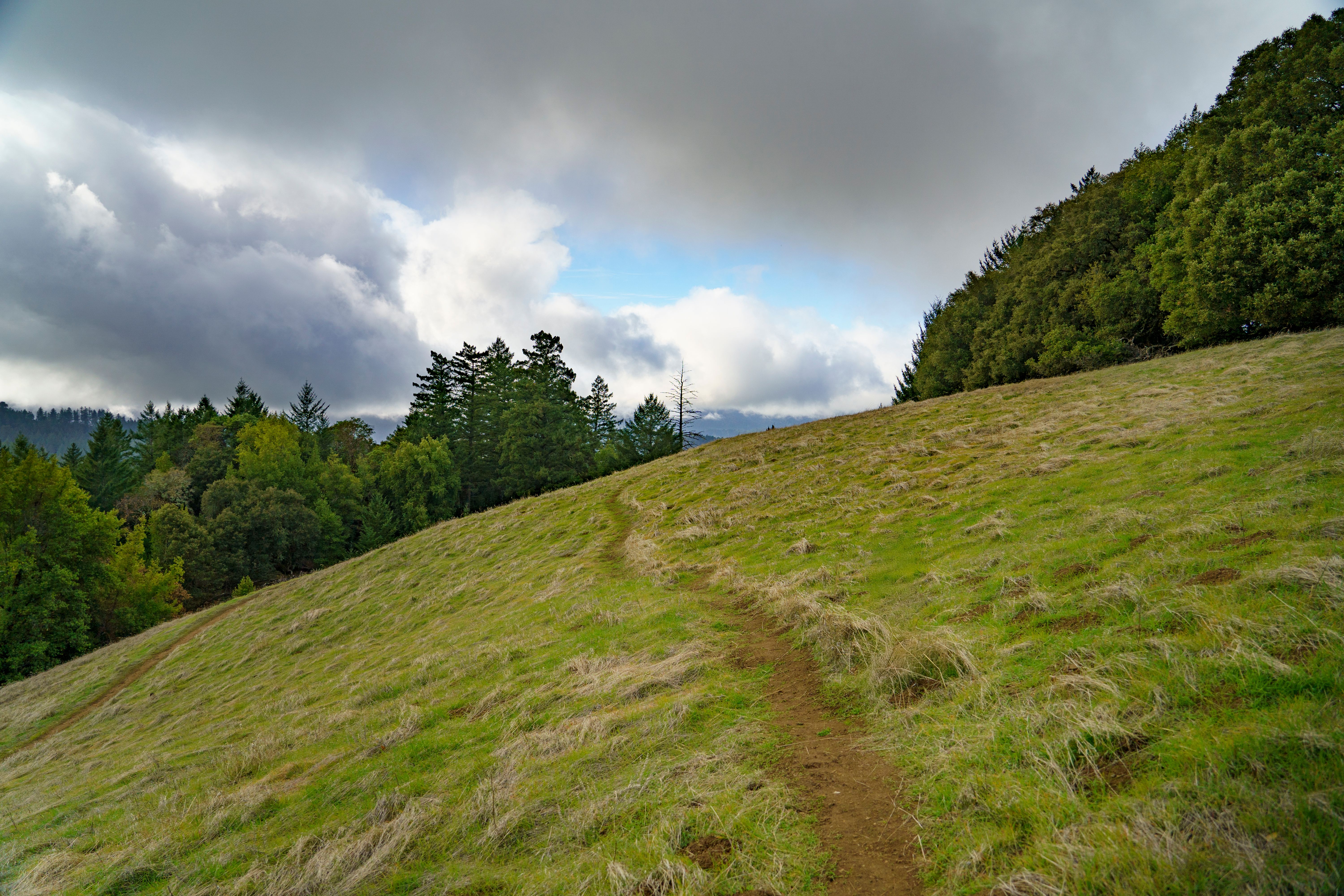 Scenic Pathway through Hills in Palo Alto, California · Free Stock Photo