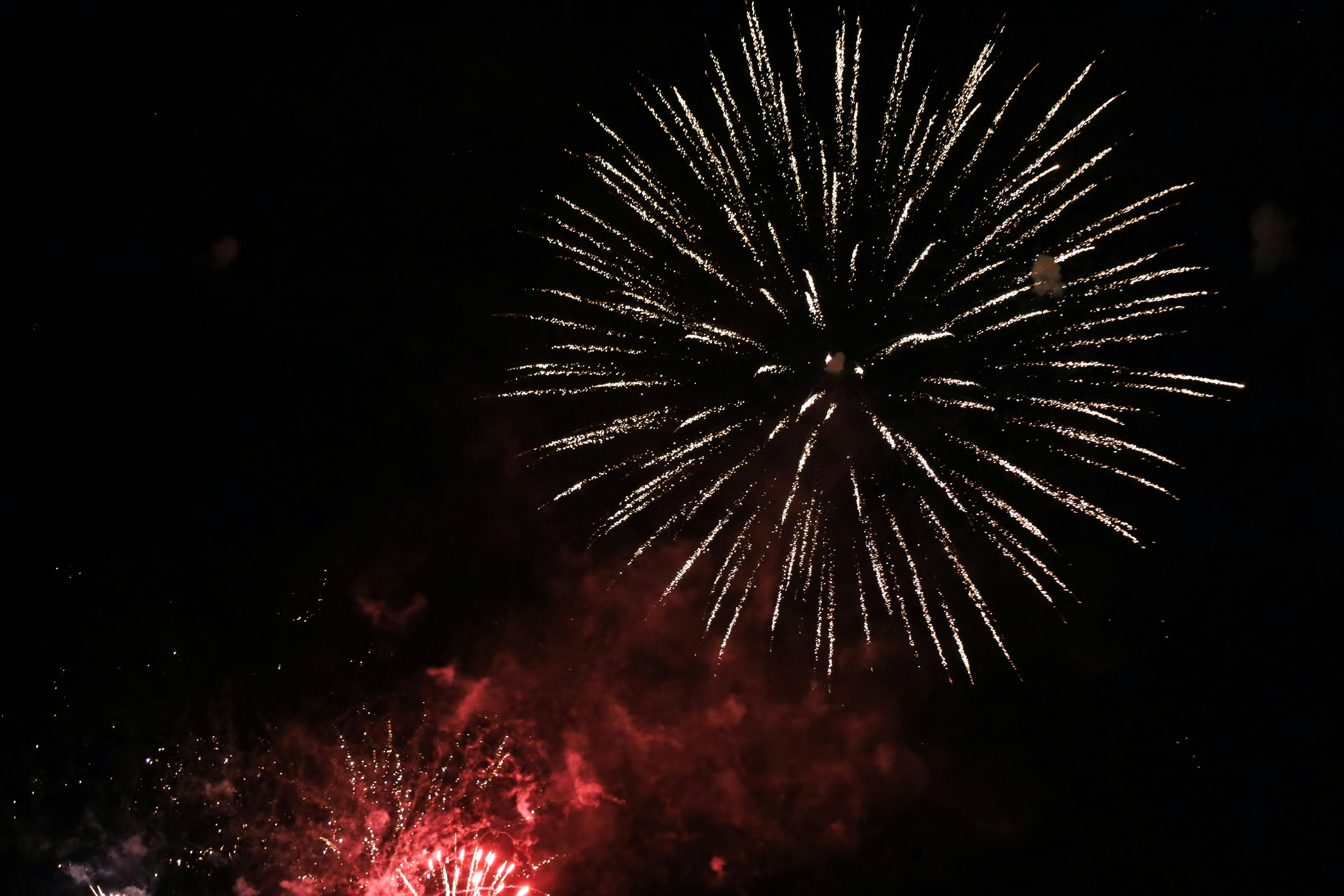 Blue and Red Brocade Fireworks at Night · Free Stock Photo