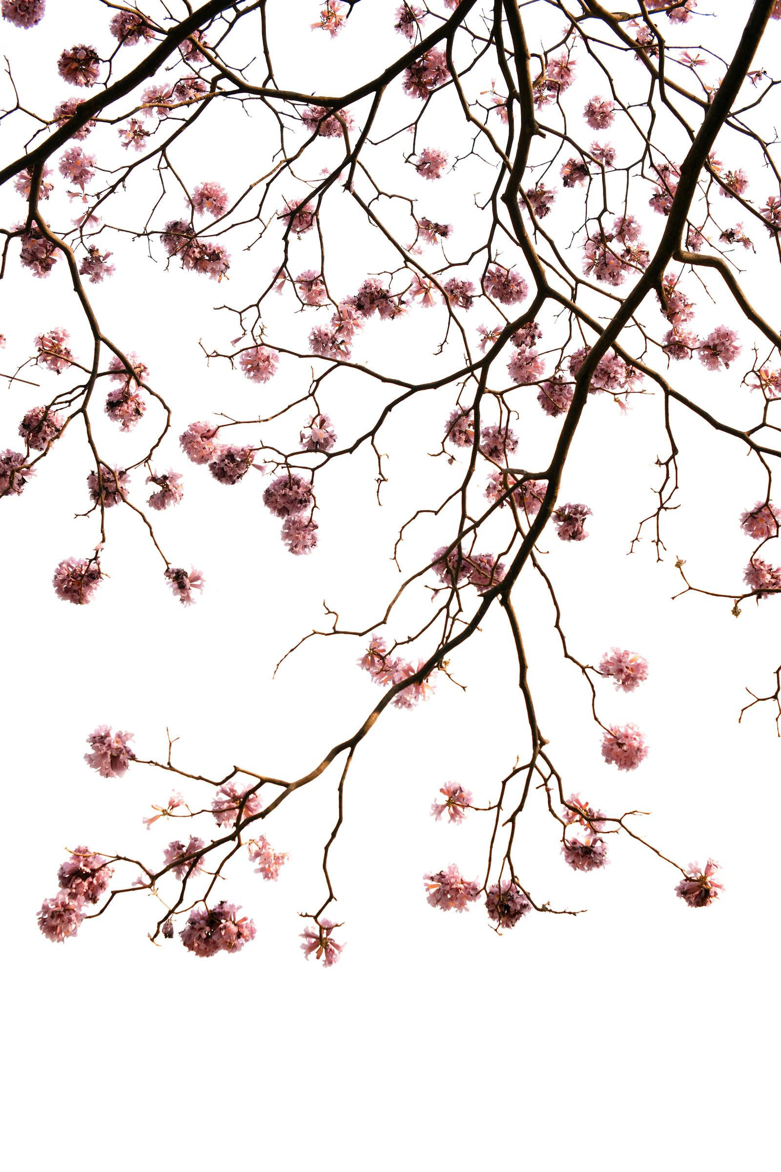 Discord Background Photos, Download The BEST Free Discord Background ...