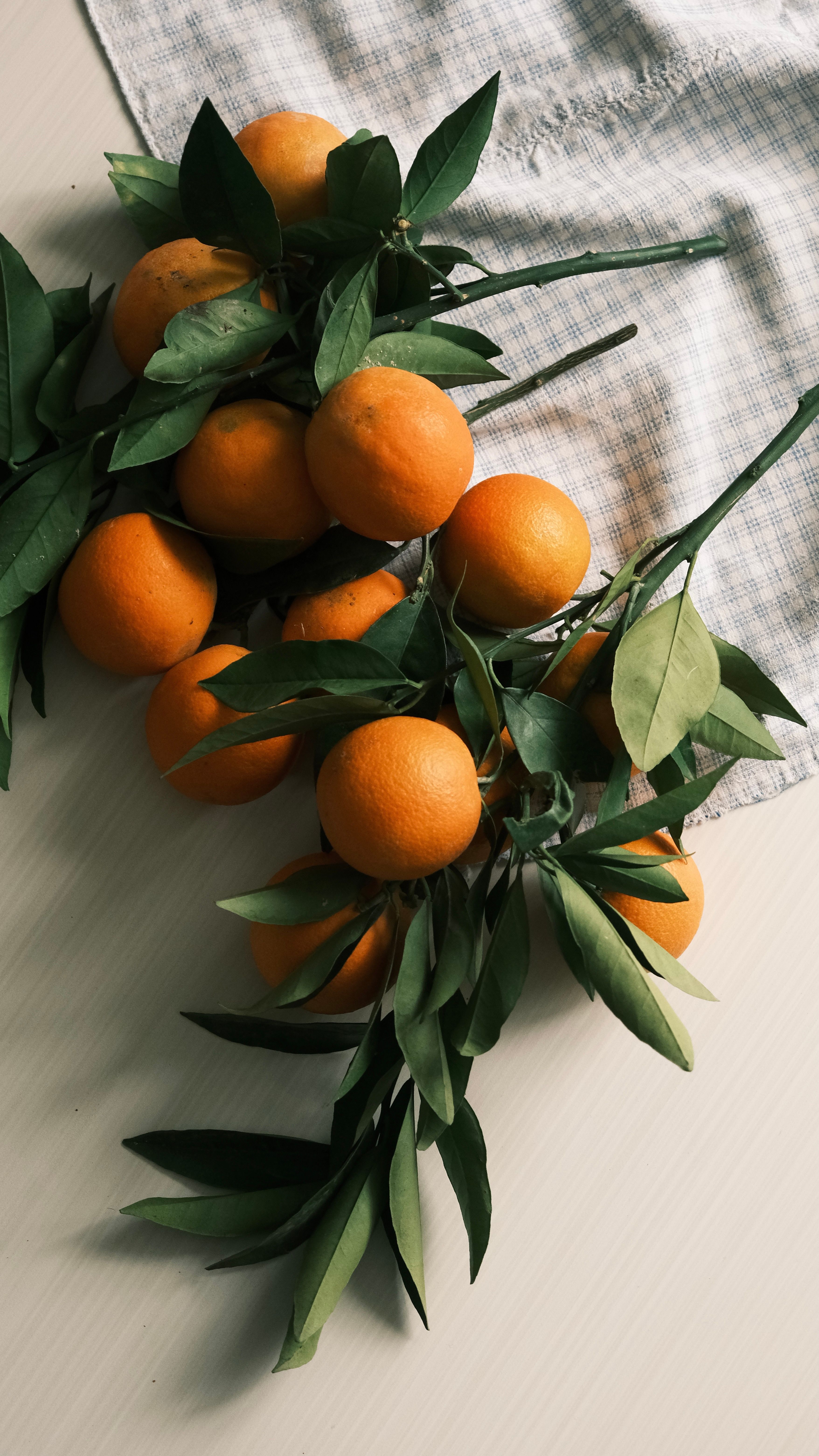 Lack Of Reaper Plenty Of Harvest Photos, Download The BEST Free Lack Of ...