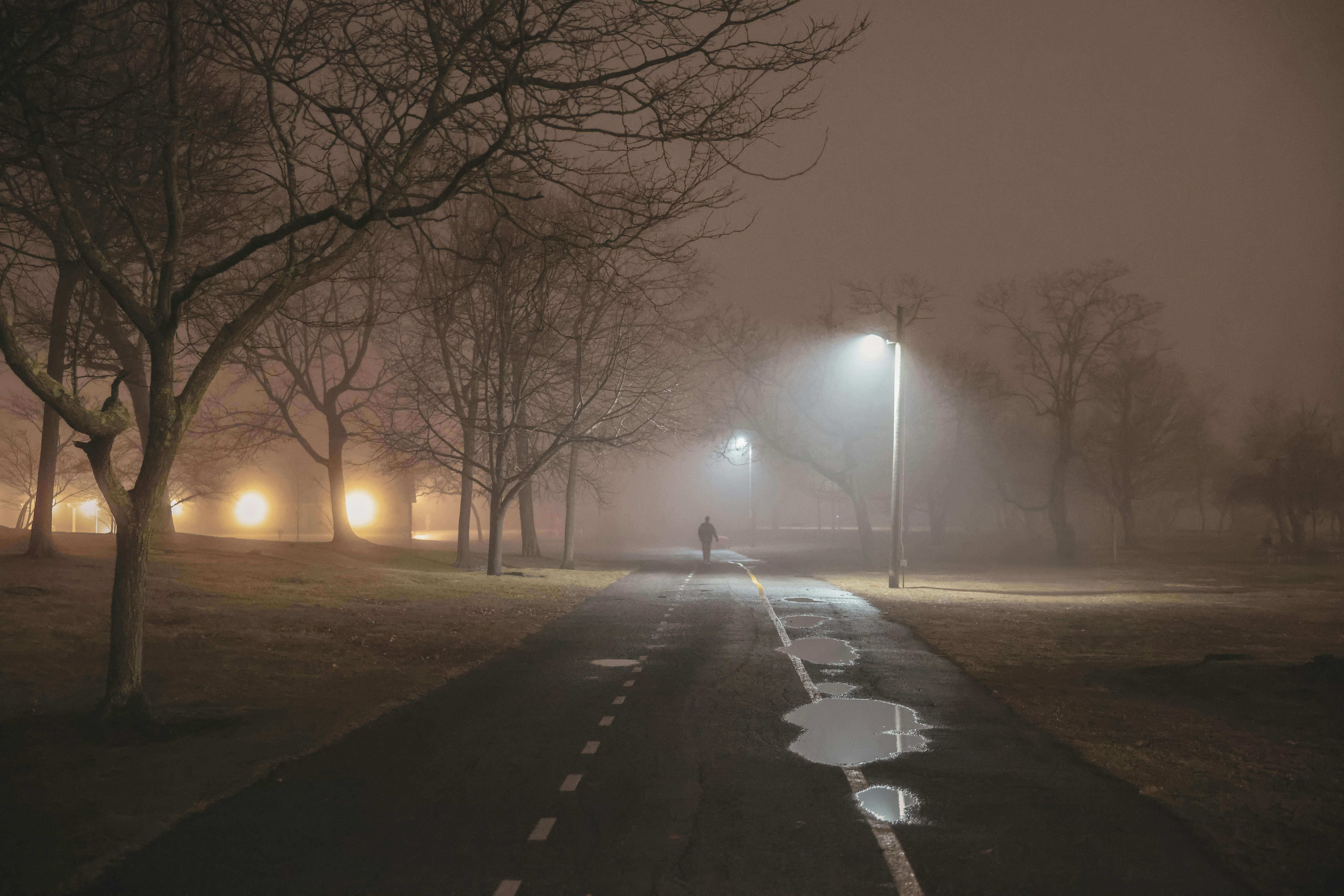 Lights In The Nature Photos, Download The BEST Free Lights In The ...