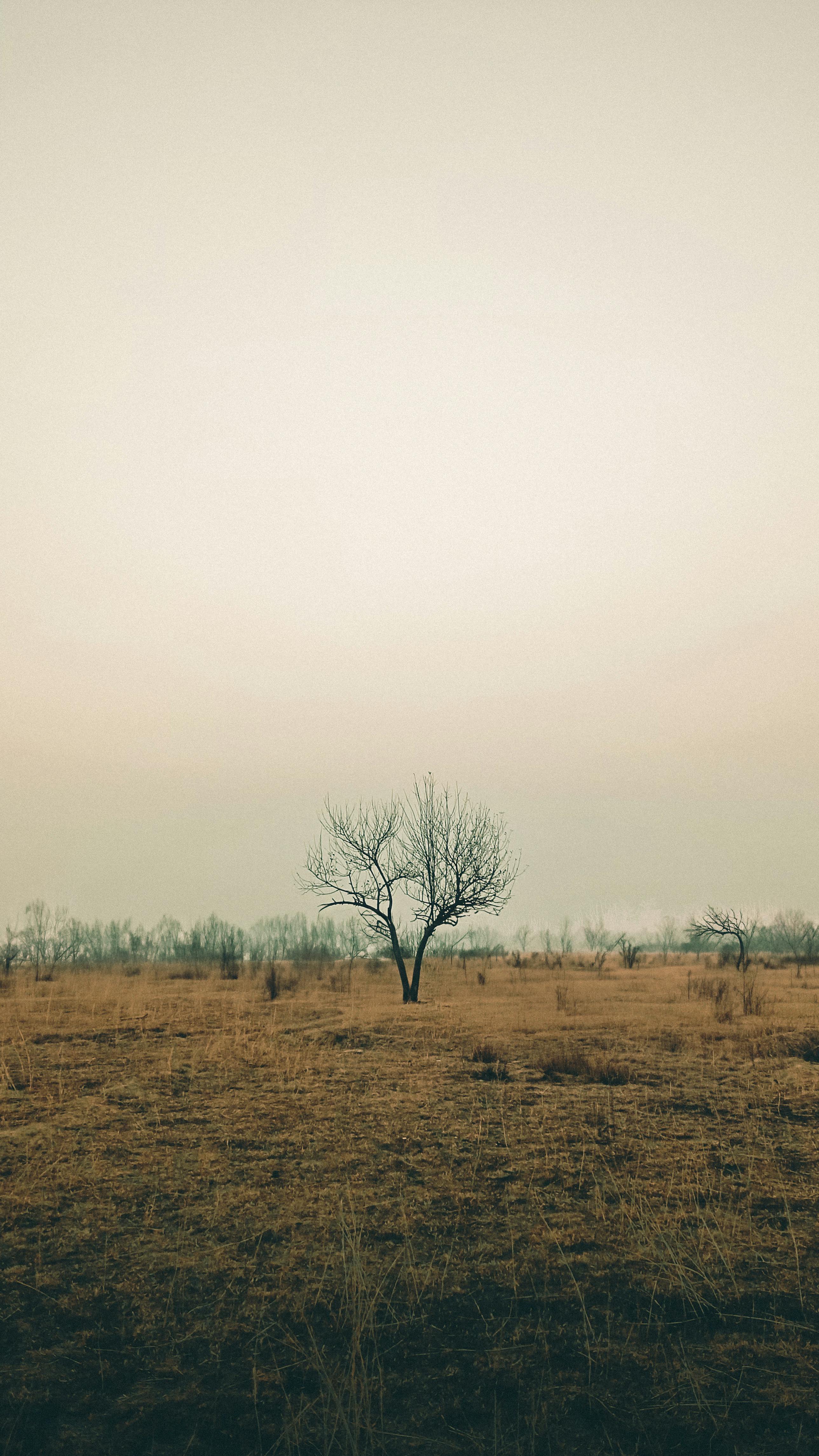 Empty Earth Photos, Download The BEST Free Empty Earth Stock Photos ...