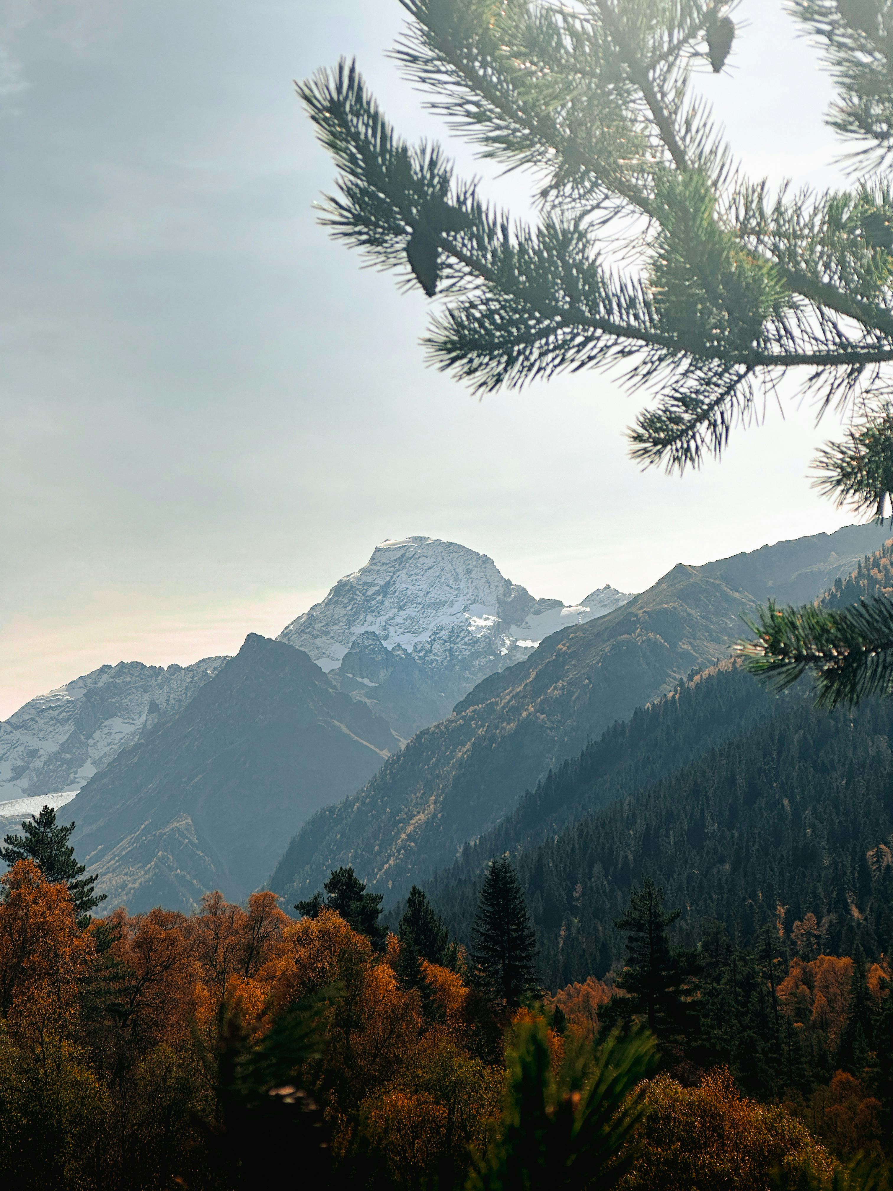 Svizzera Alpine Photos, Download The BEST Free Svizzera Alpine Stock ...