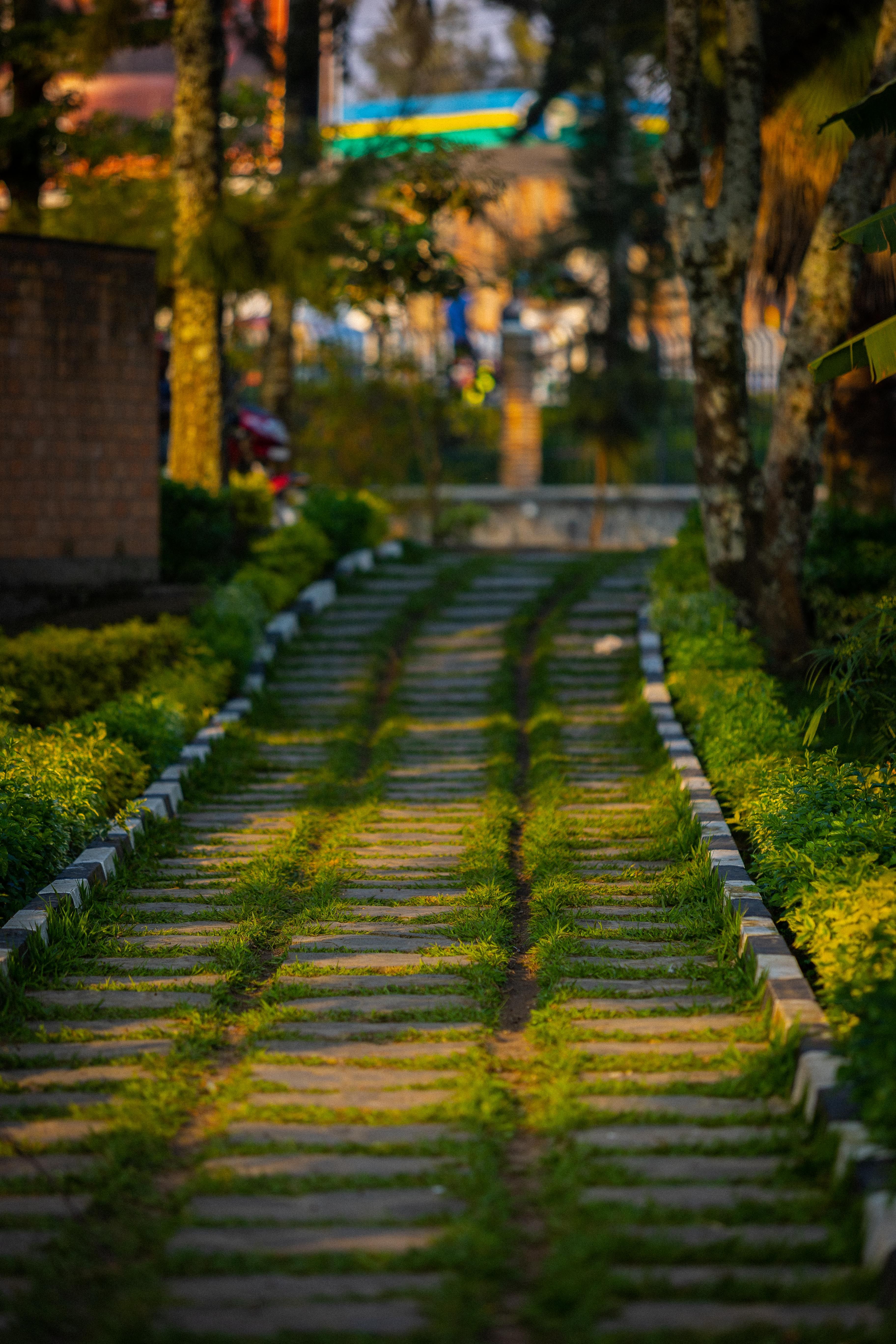 Background Gardan Photos, Download The BEST Free Background Gardan ...