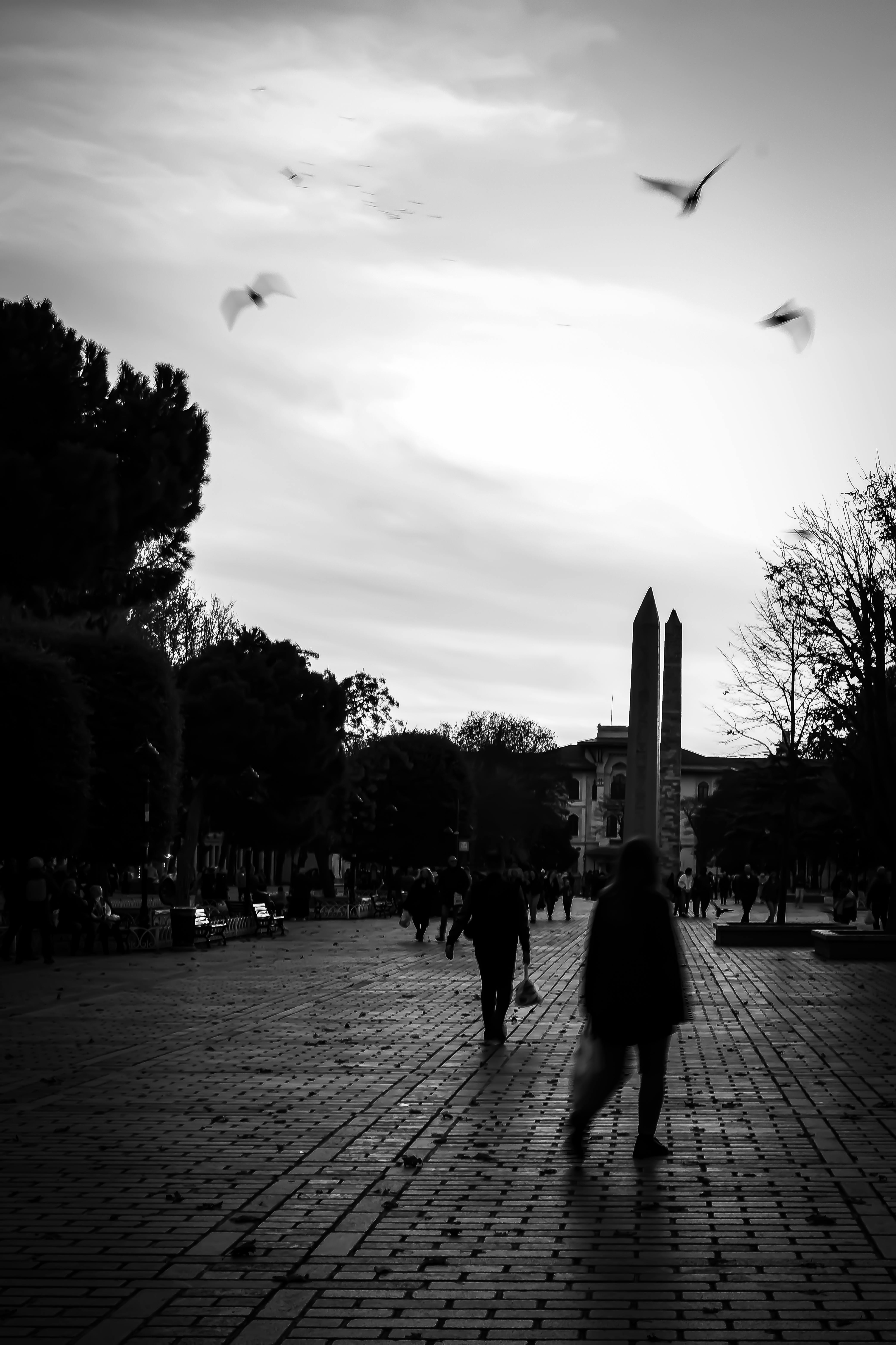 Ancient Talon Photos, Download The BEST Free Ancient Talon Stock Photos ...