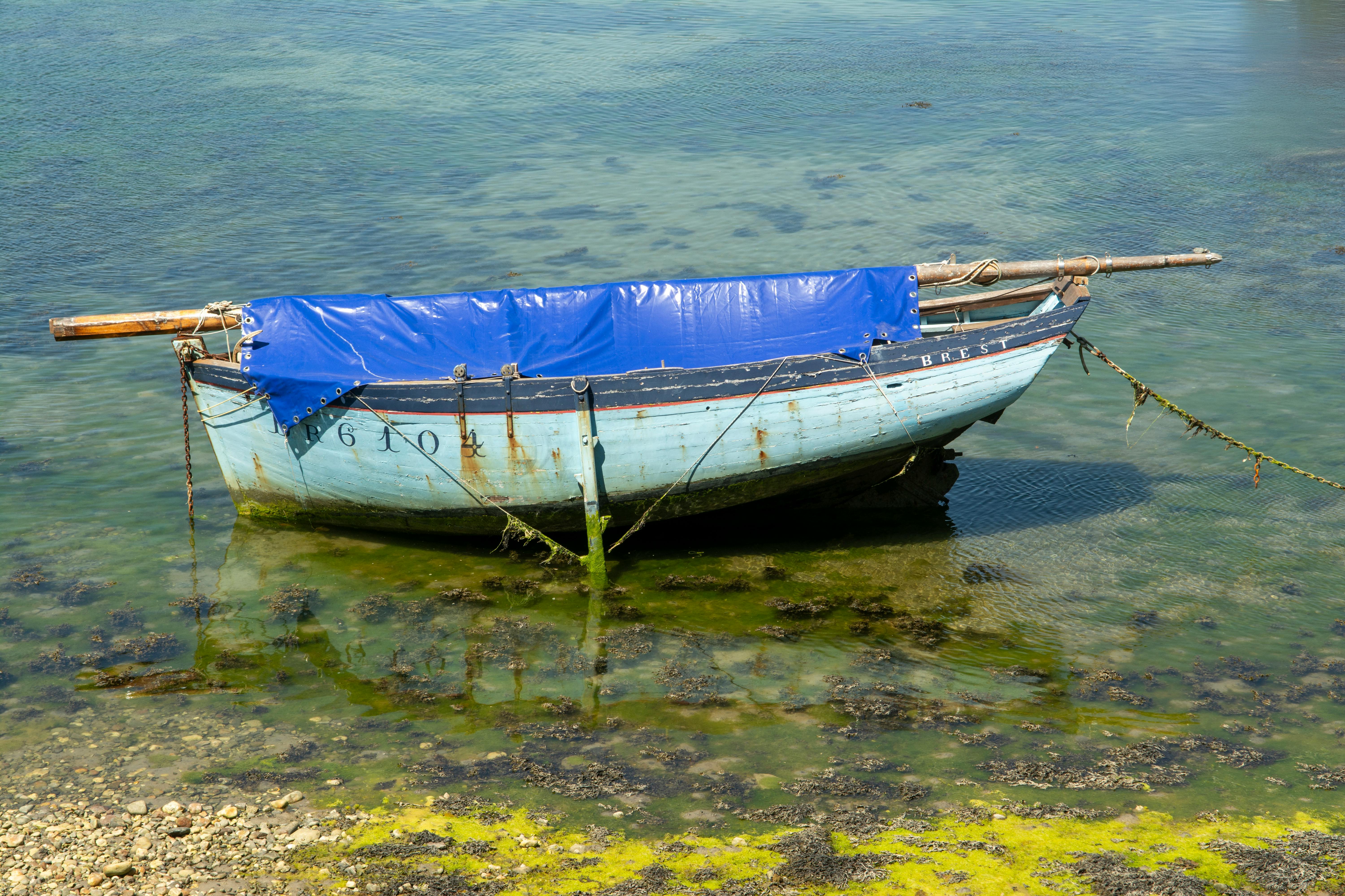 Stationary Image Photos, Download The BEST Free Stationary Image Stock ...