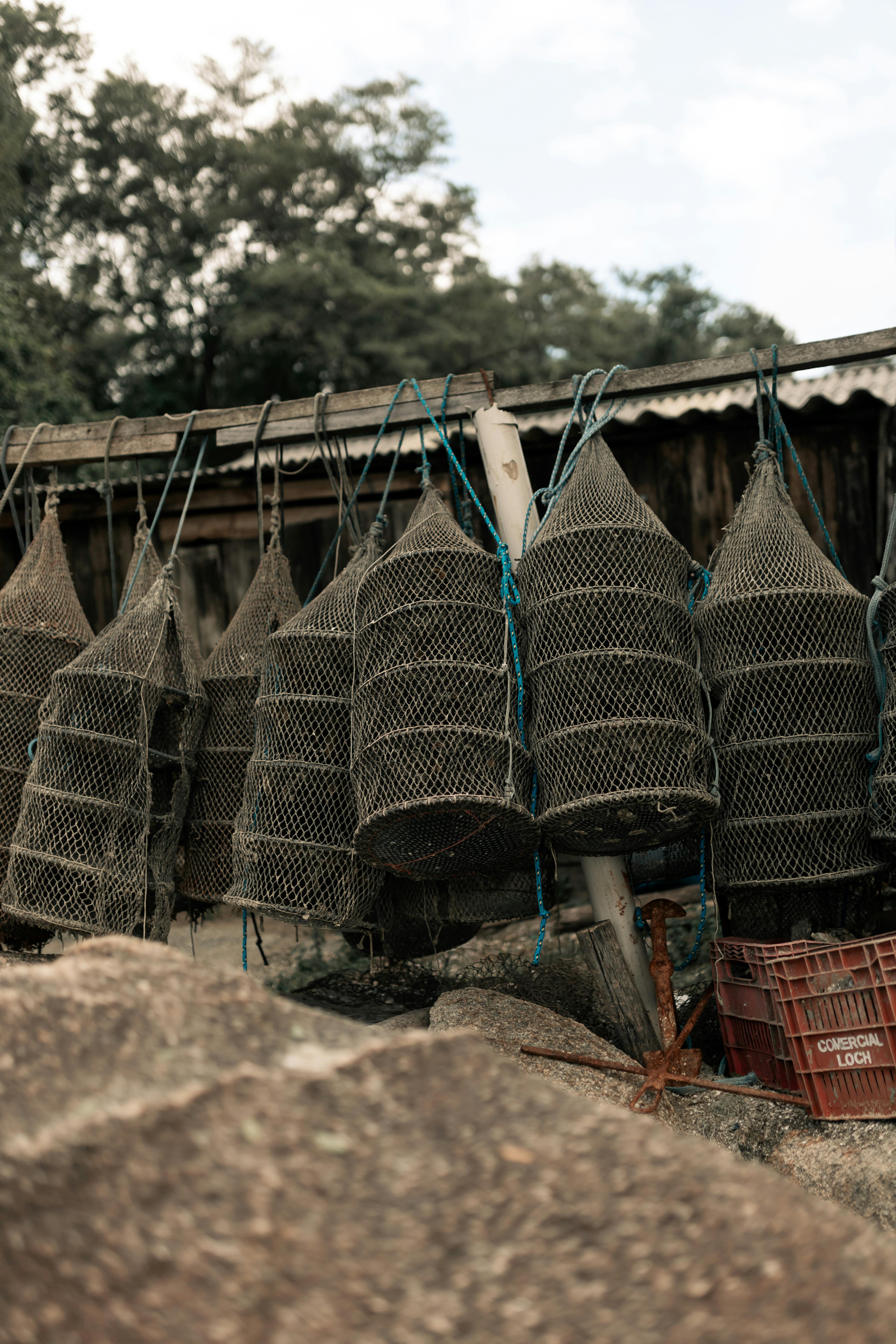 Traditional Fisherman Traps Hanging in Rustic Setting · Free Stock Photo