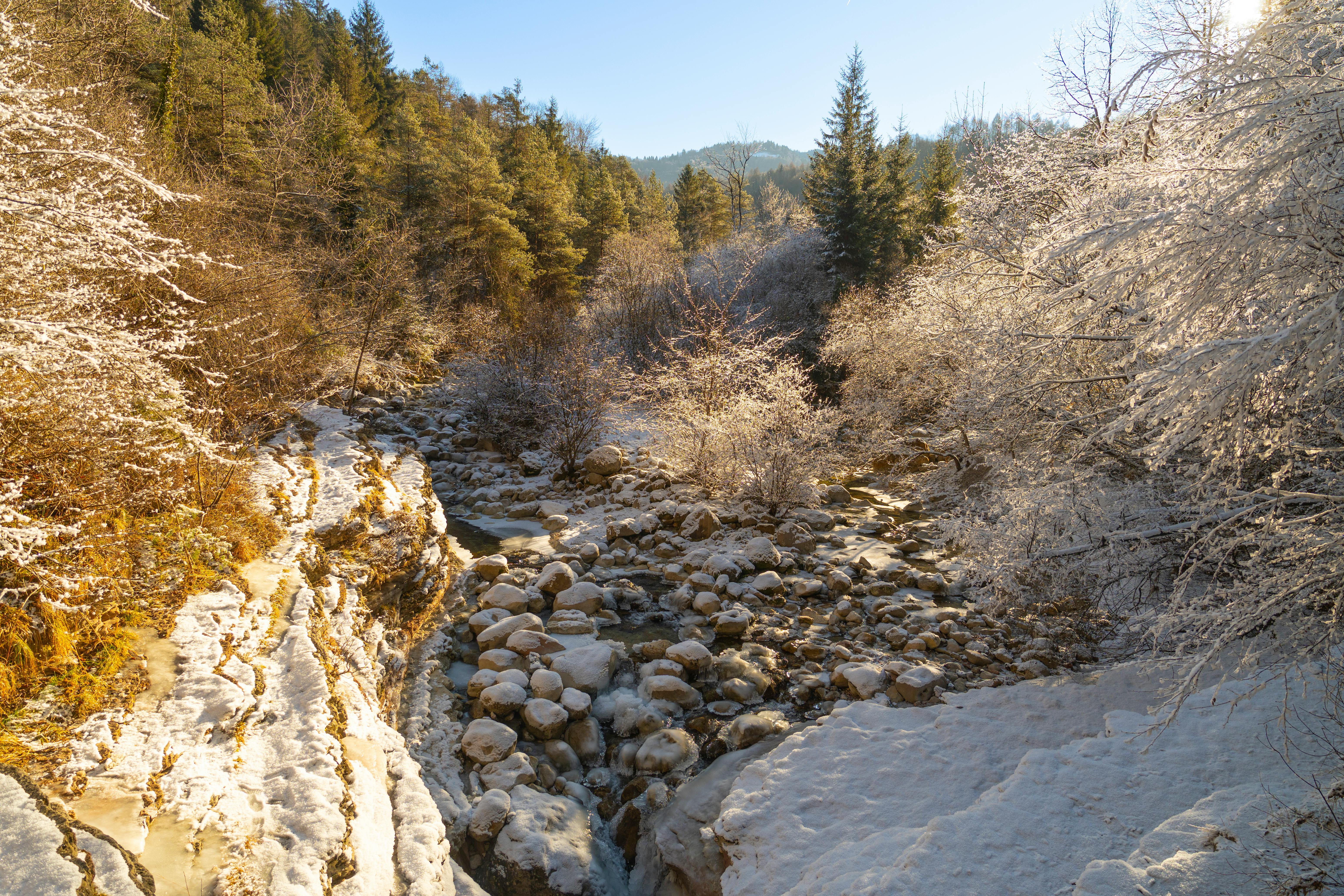 Serene Winter Landscape with Snow-Covered Stream · Free Stock Photo