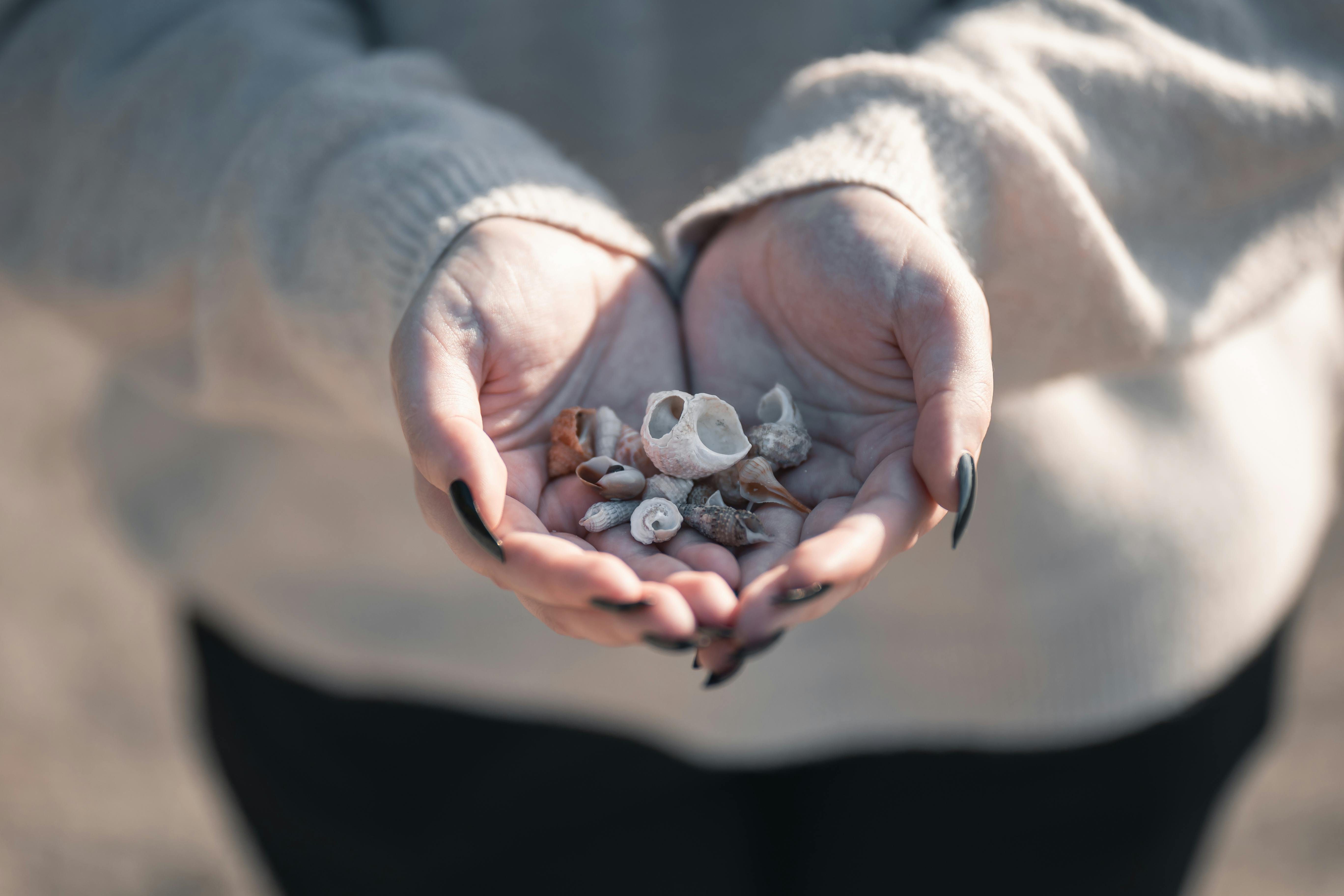 Soft Women Hands Photos, Download The BEST Free Soft Women Hands Stock ...