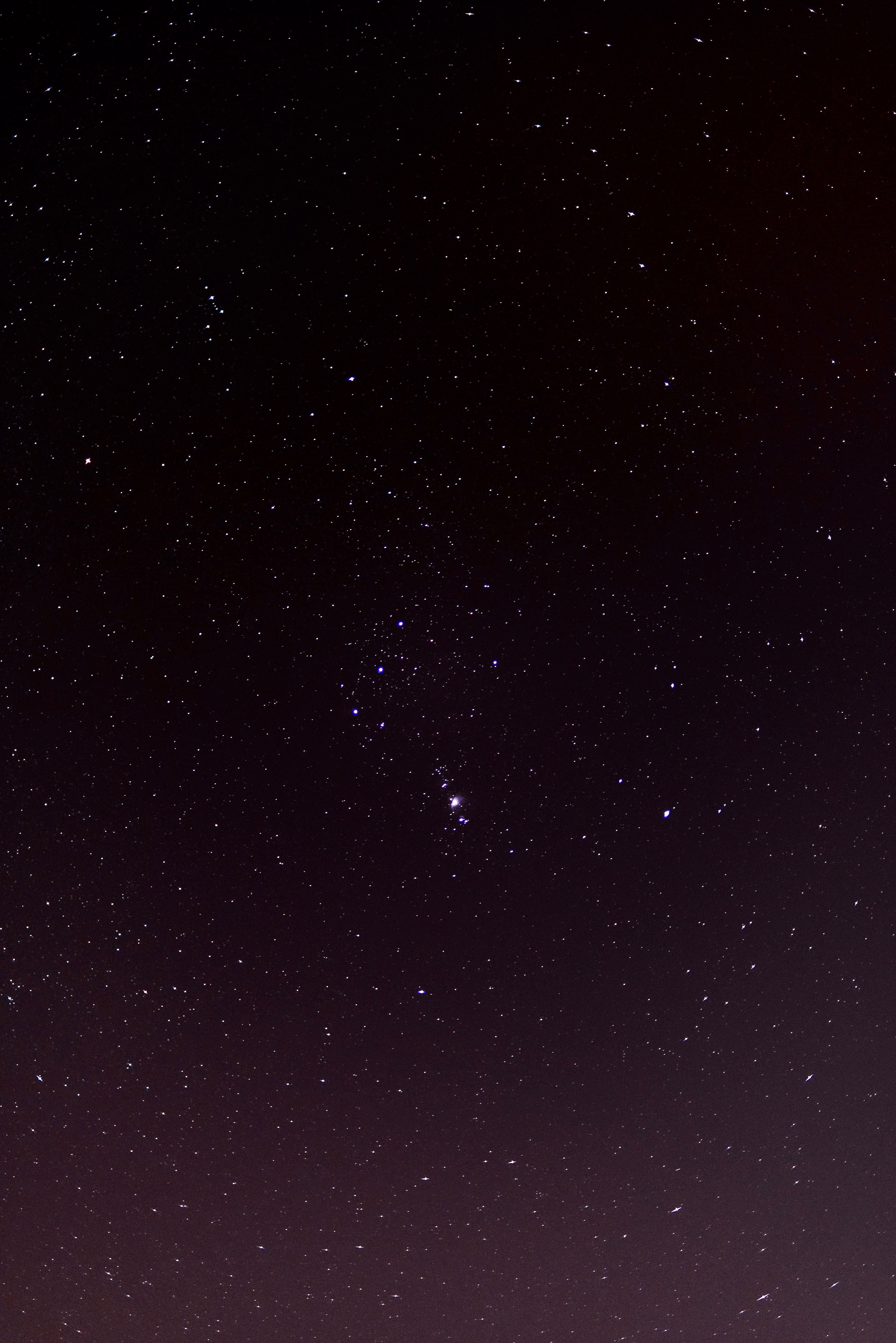Stars in the Night Sky · Free Stock Photo