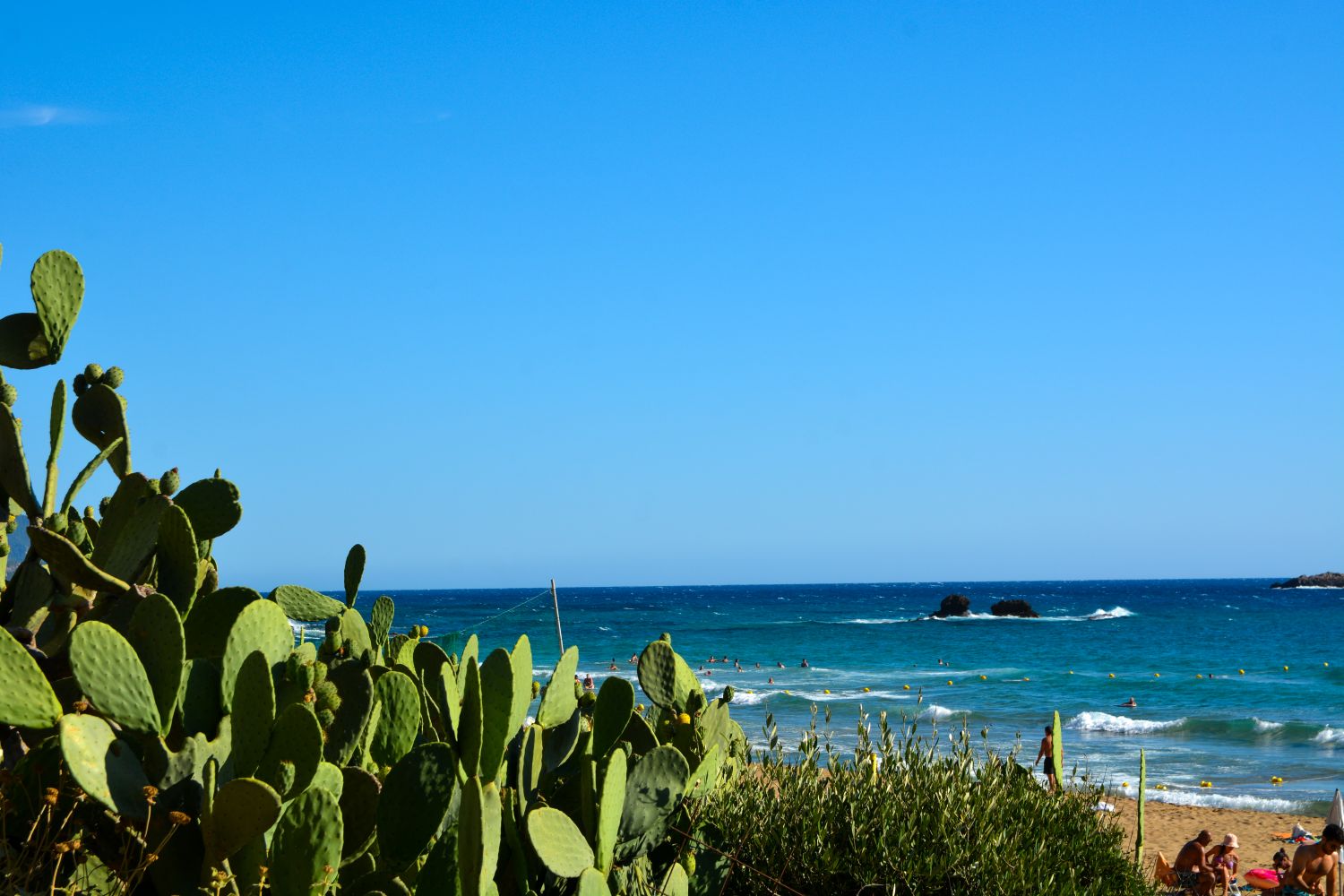 Summer. Photos, Download The BEST Free Summer. Stock Photos & HD Images