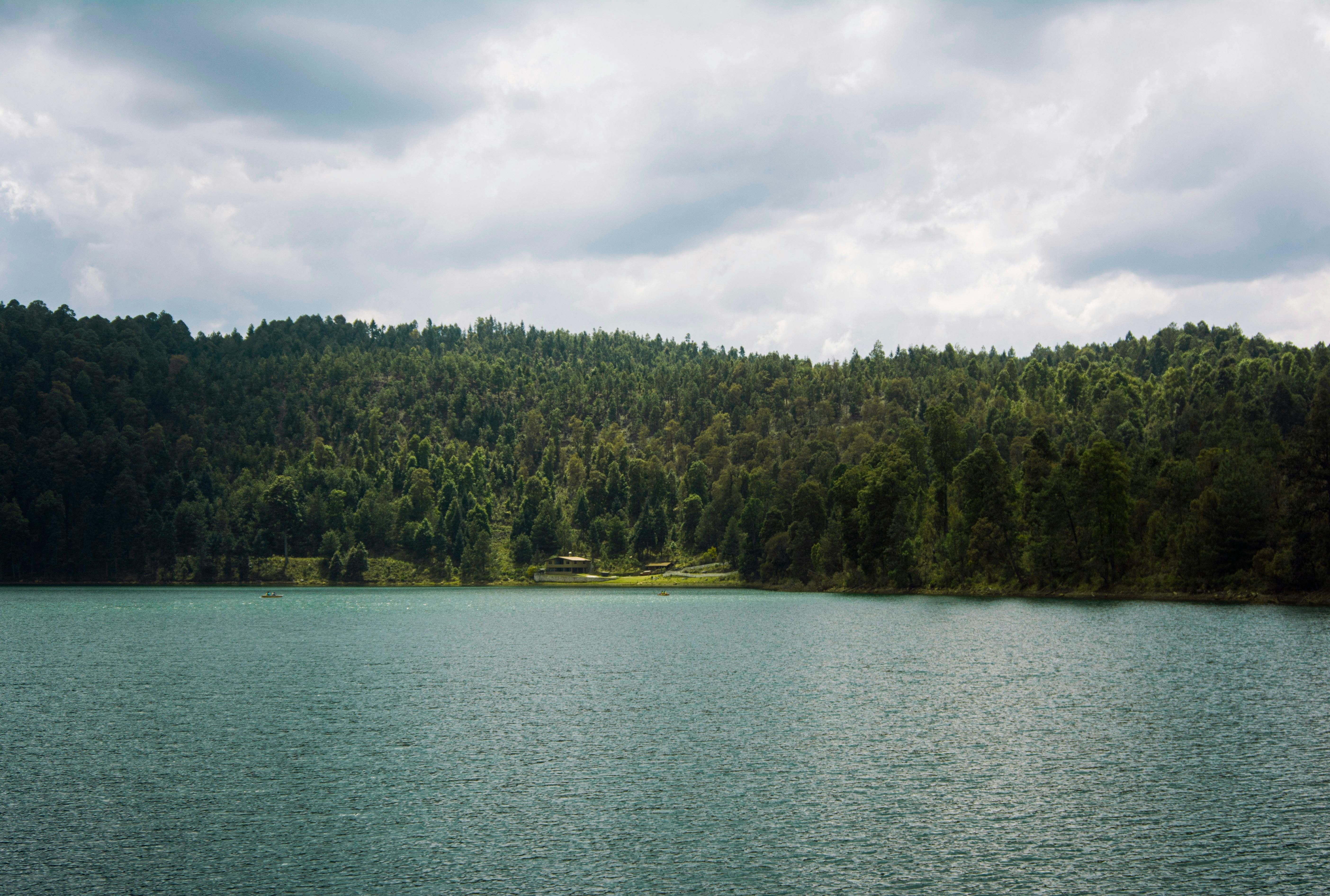 Serene Lake and Forest in Michoacán, Mexico · Free Stock Photo