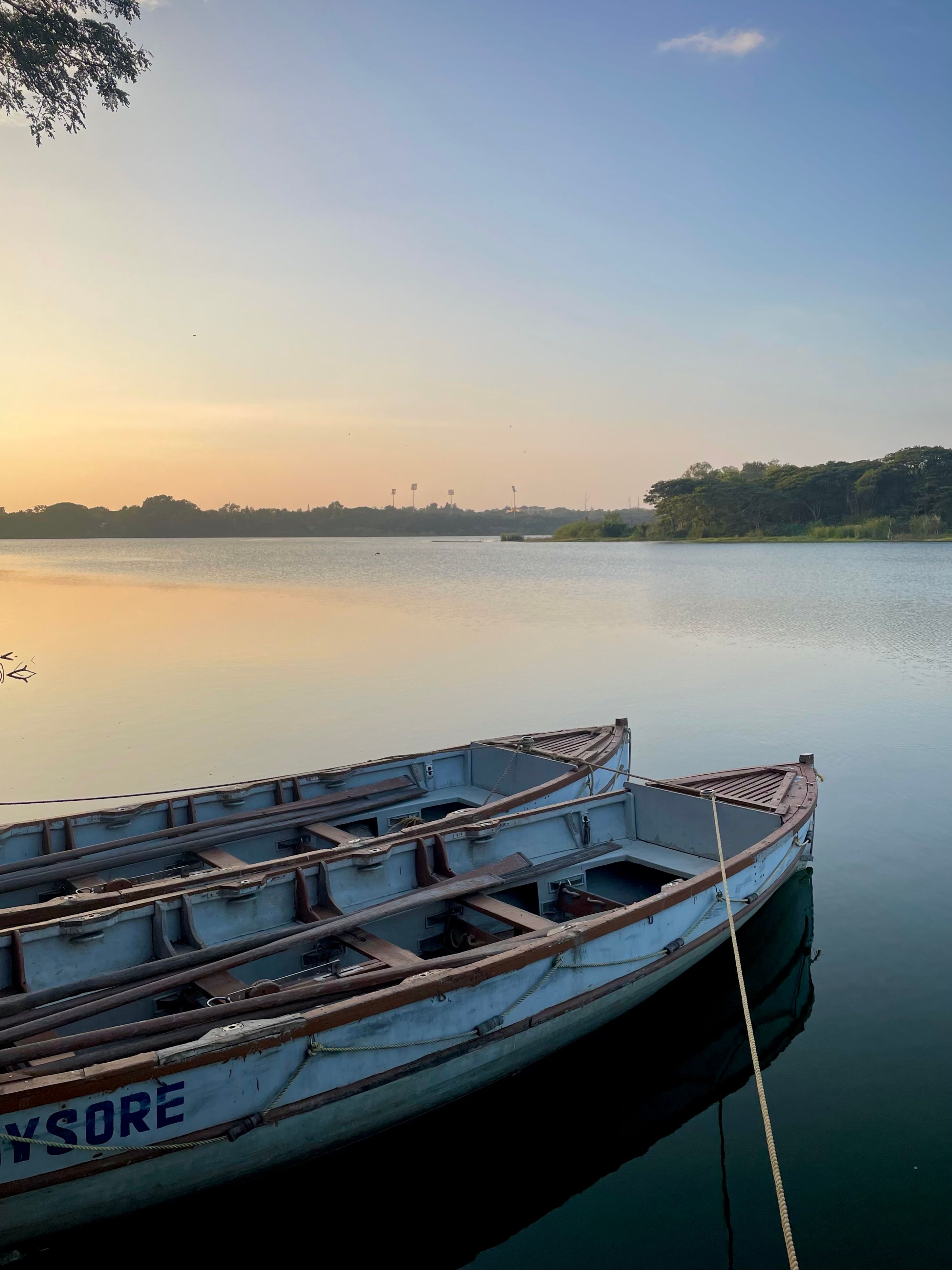 Serene Evening at Mysuru Lake with Docked Boats · Free Stock Photo
