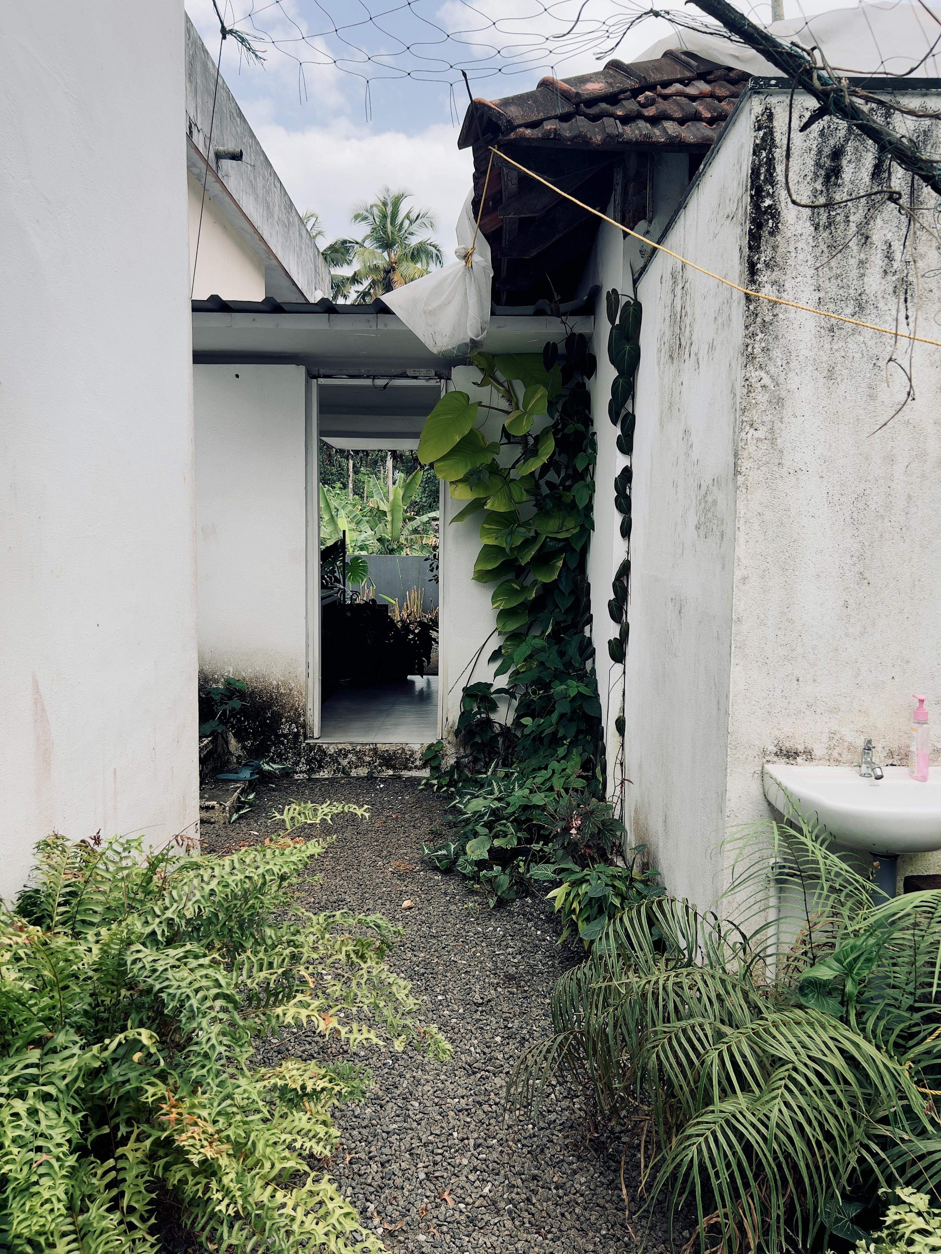Rustic Brazilian Outdoor Passage with Greenery · Free Stock Photo