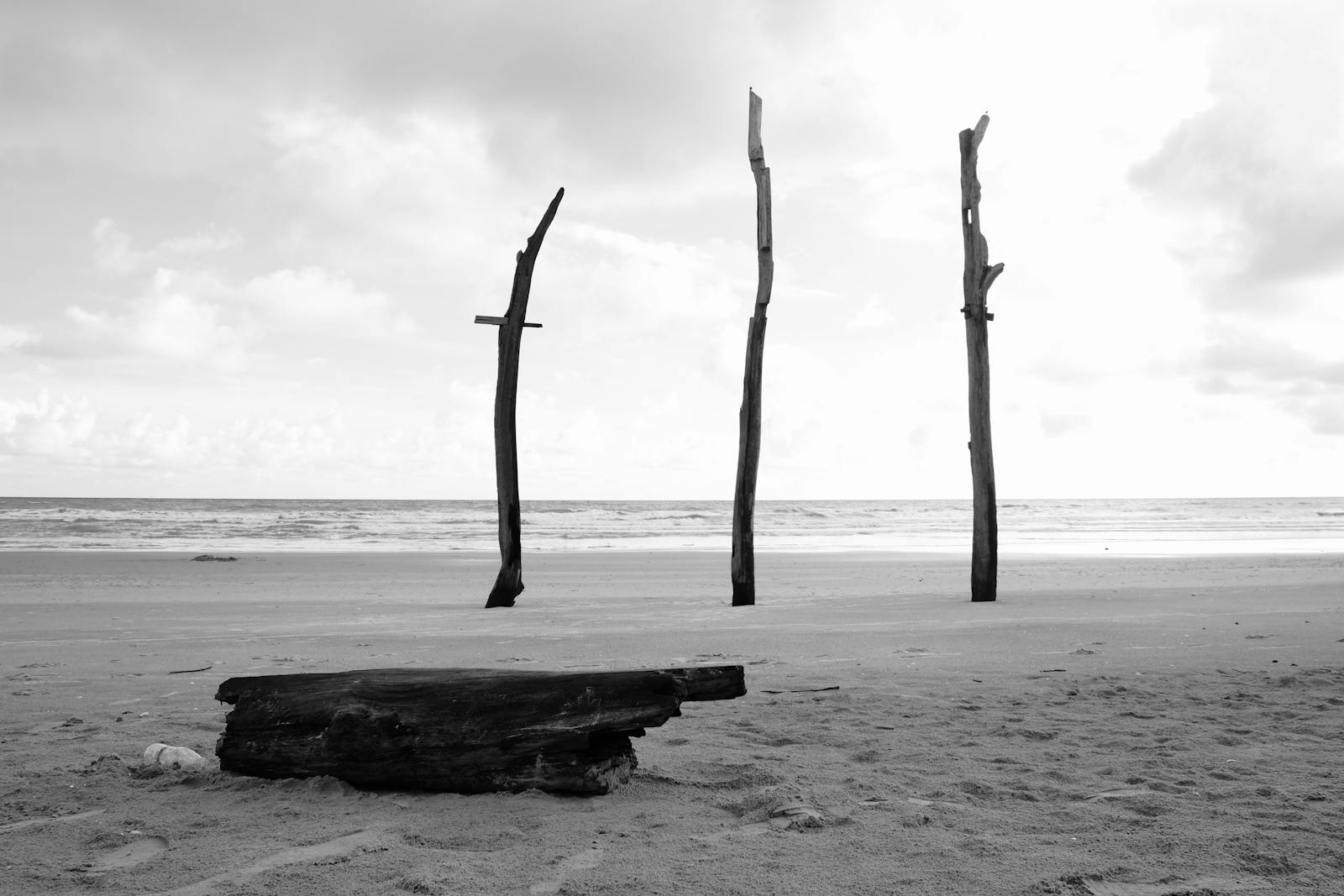 Monochrome Beach Photos, Download The BEST Free Monochrome Beach Stock ...