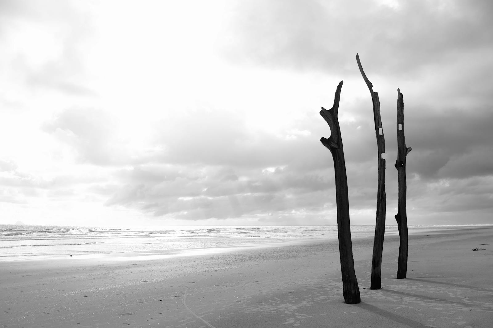 Monochrome Beach Photos, Download The BEST Free Monochrome Beach Stock ...