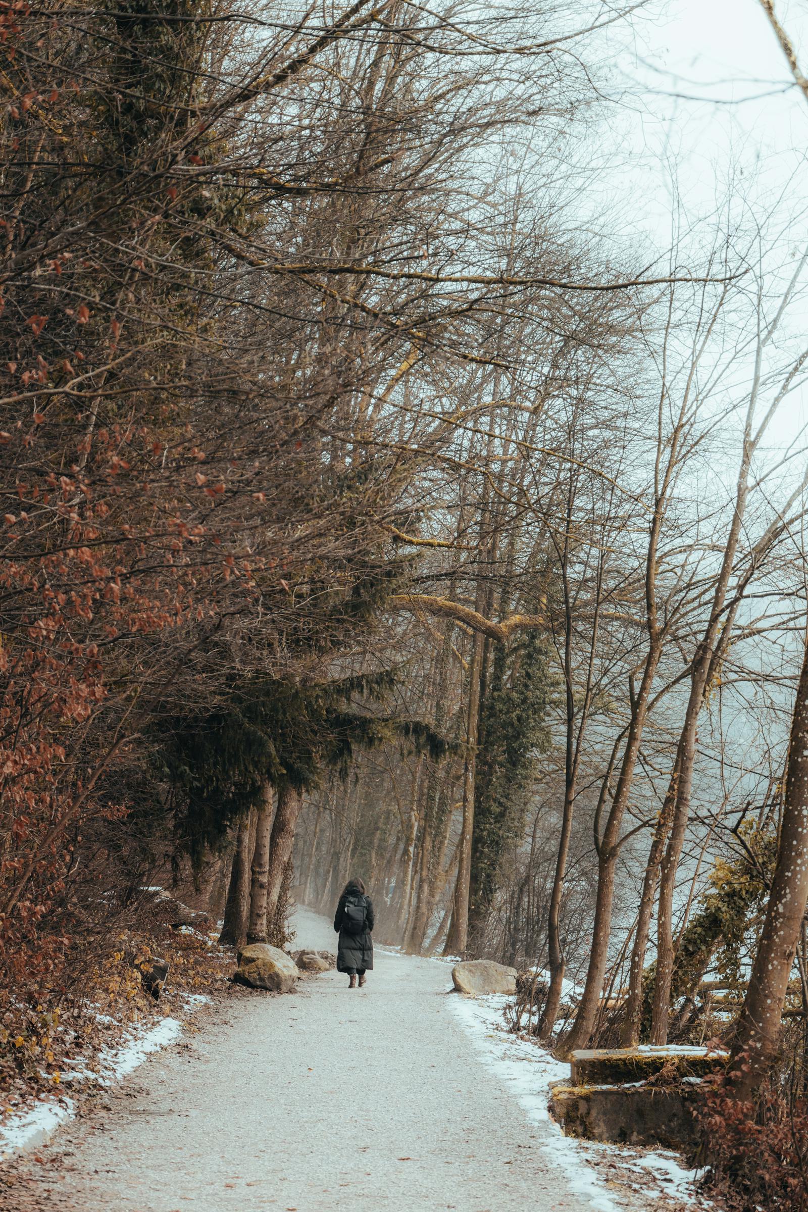 Nature Walk Photos, Download The BEST Free Nature Walk Stock Photos ...