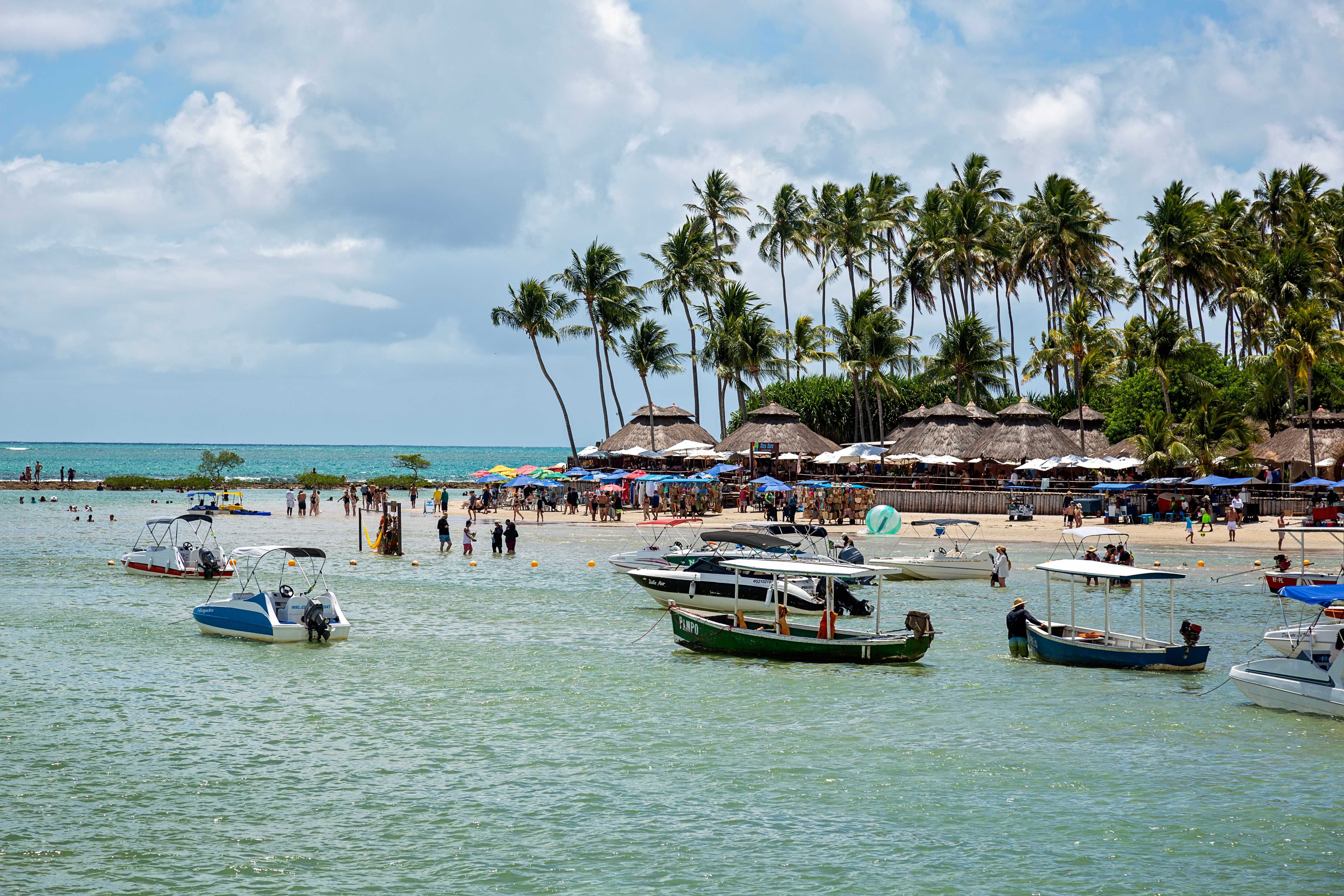 Scenic Beachfront with Palm Trees and Boats · Free Stock Photo