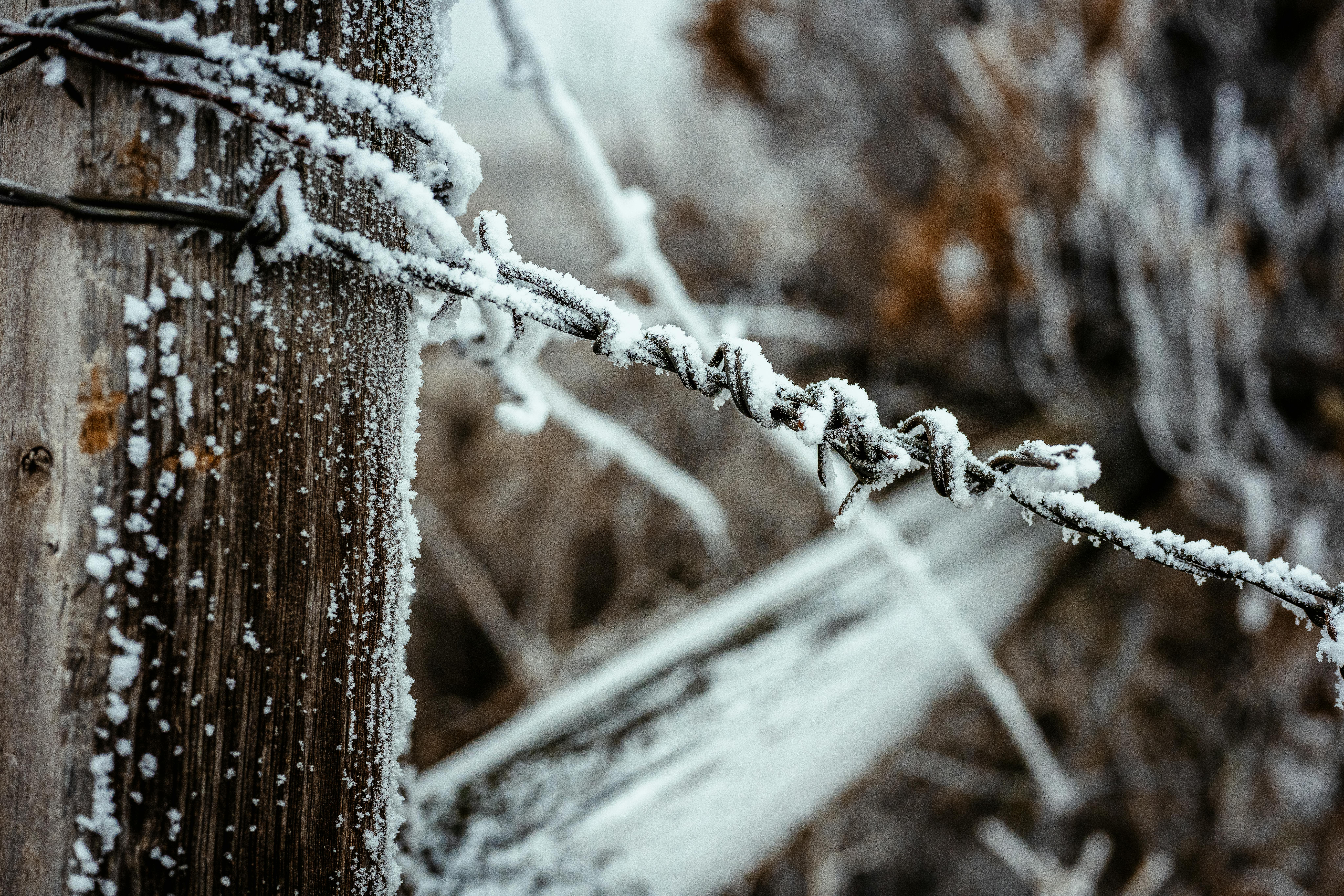 Closeup Photography of Ice Covered Metal Wire · Free Stock Photo