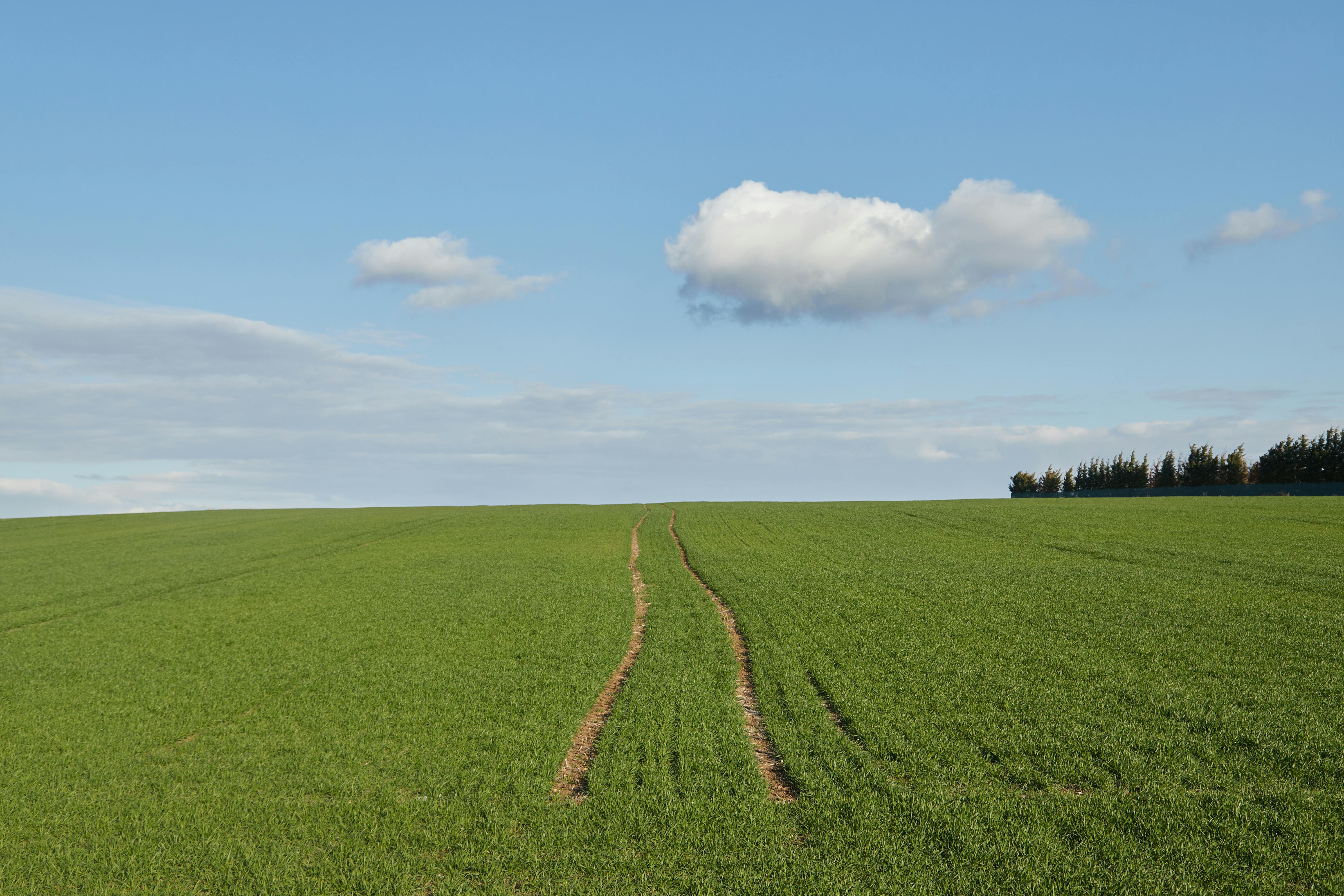 Padang Rumput Hijau Luas Di Bawah Langit Biru Dengan Awan · Foto Stok ...