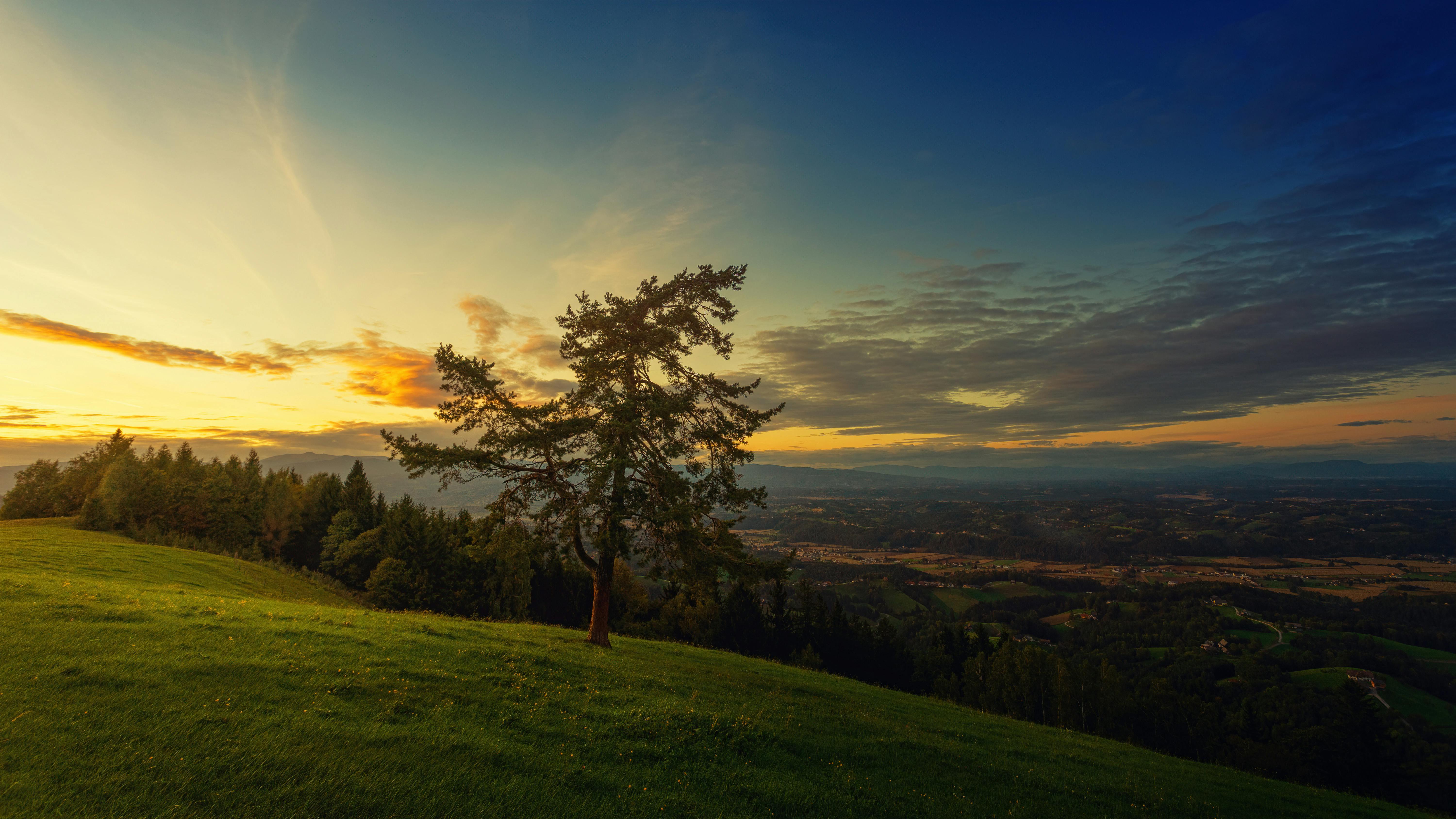 Brown and Green Grass during Sunset · Free Stock Photo