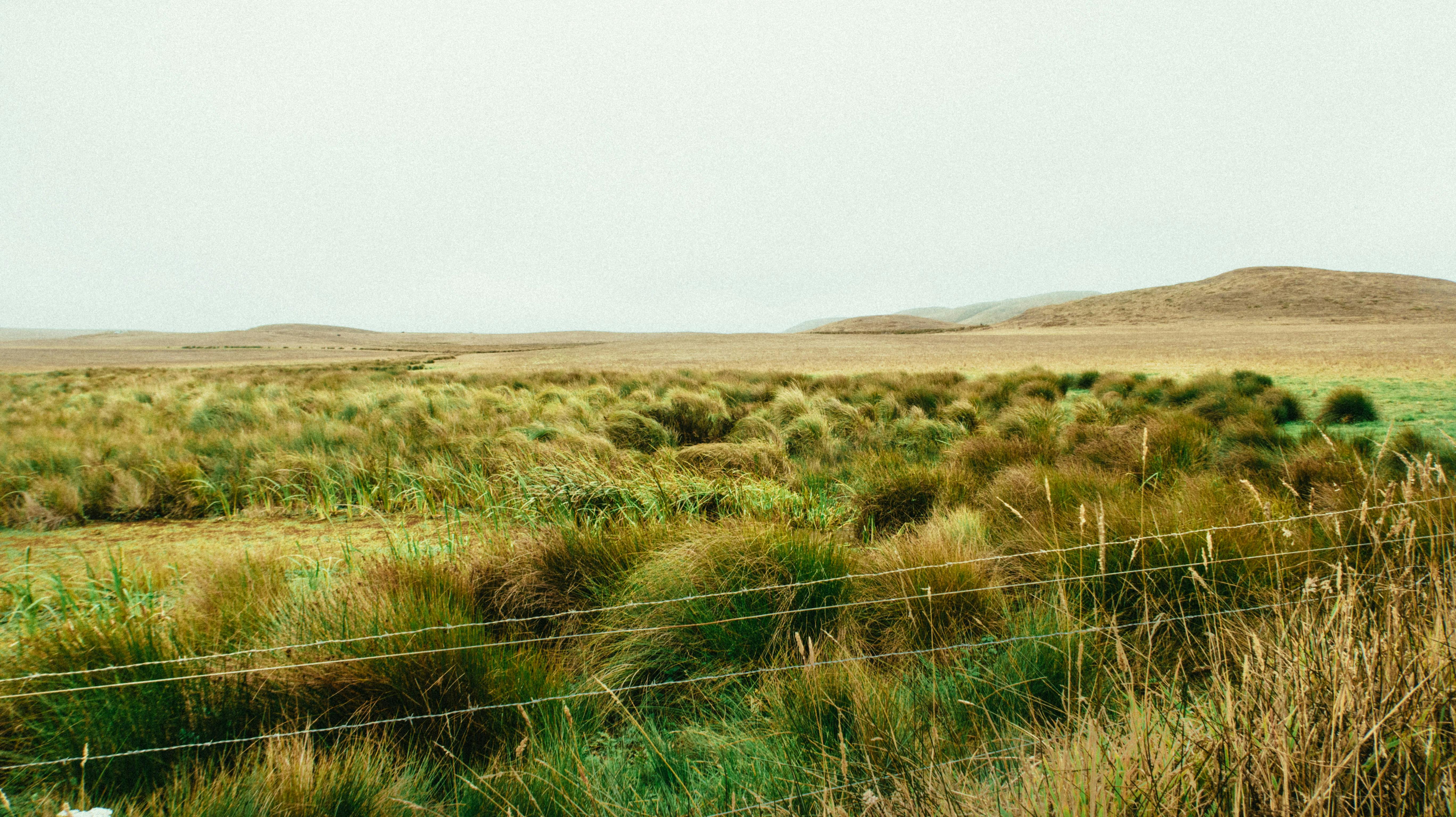 Photo of Empty Grassland · Free Stock Photo