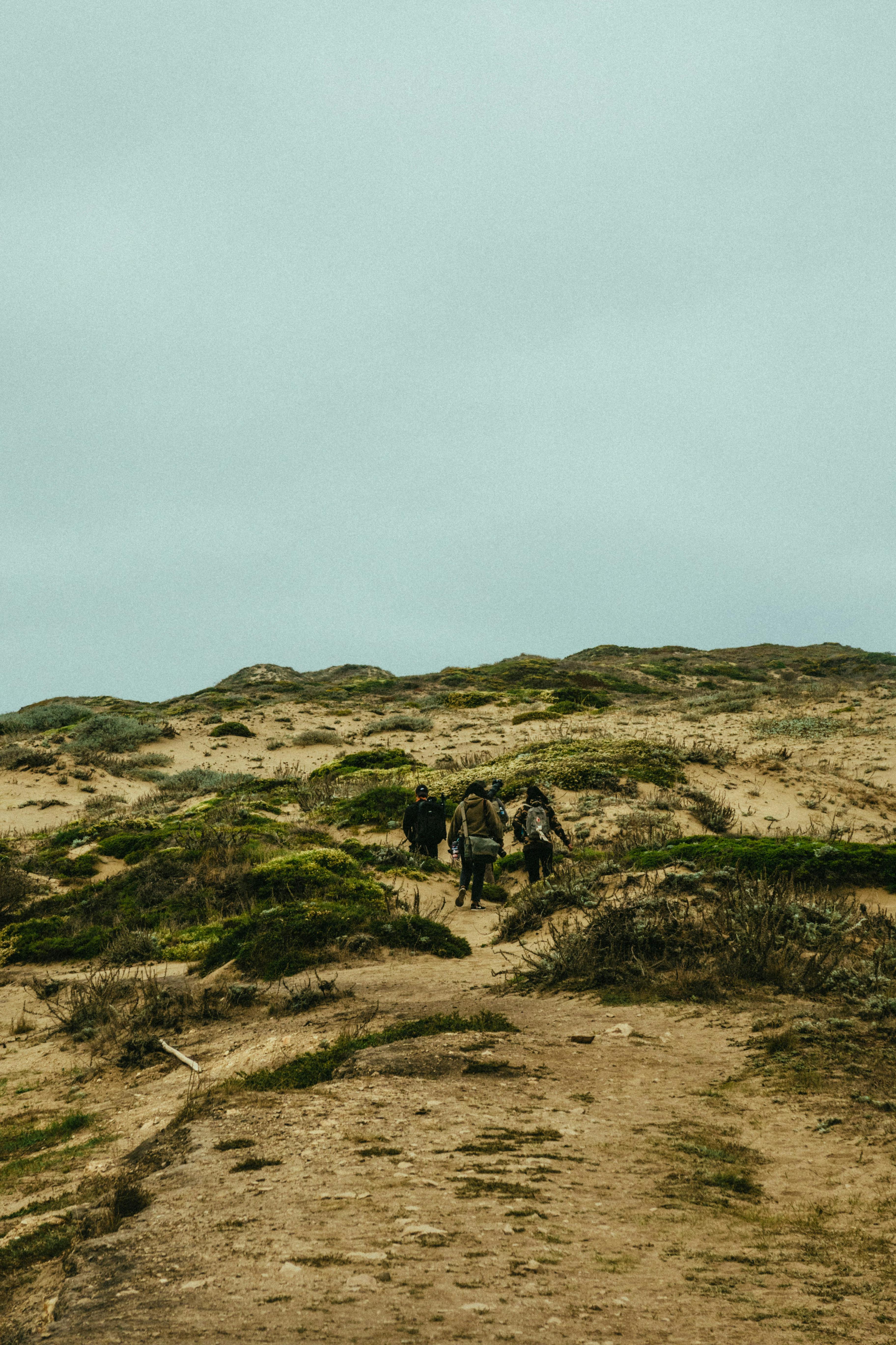 People Walking on Trail · Free Stock Photo
