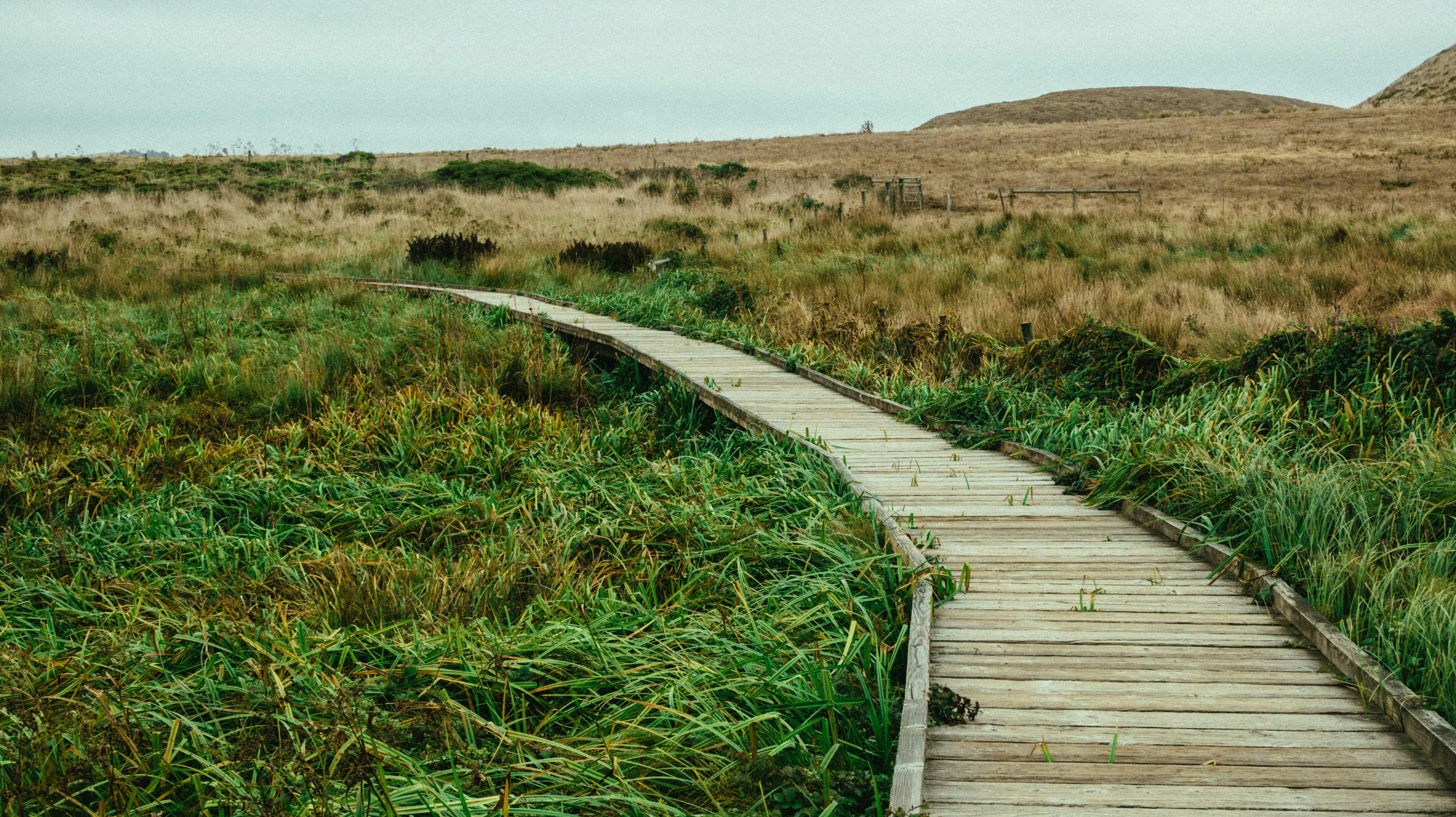 Photo Of Wooden Boardwalk During Daytime · Free Stock Photo