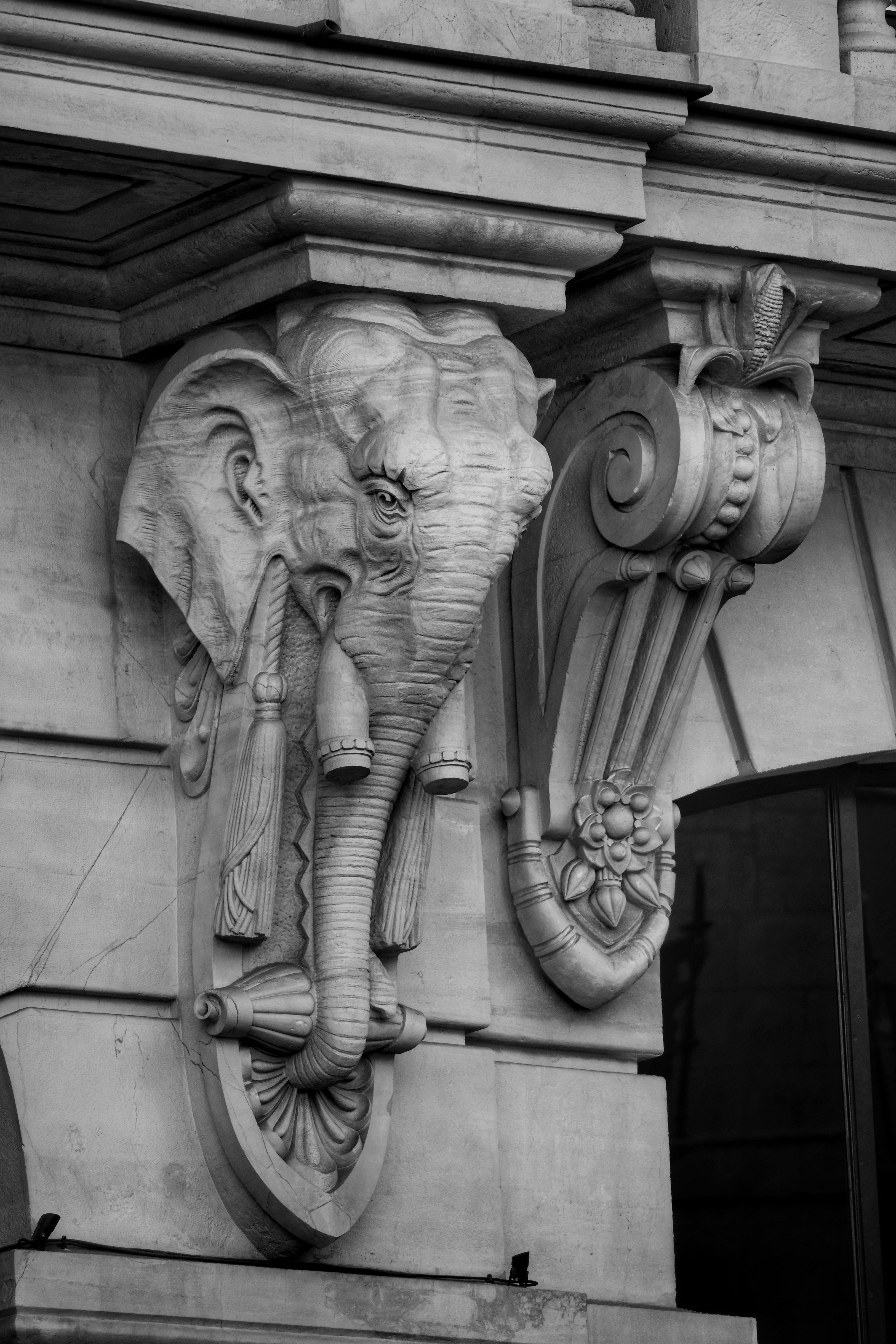 Elephant Sculpture on Historic Building Facade · Free Stock Photo