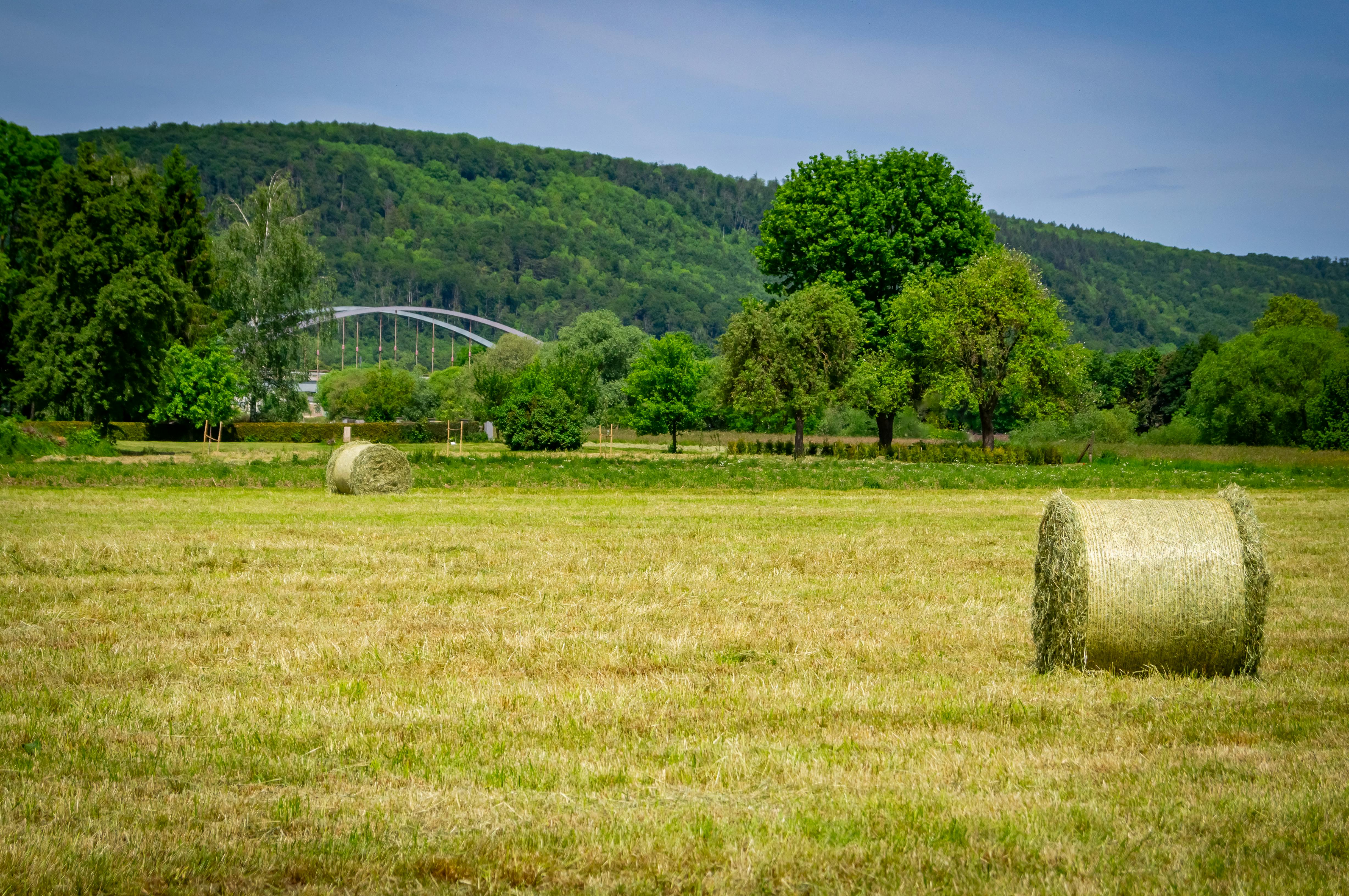 Scenic Summer Landscape with Hay Bales and Bridge · Free Stock Photo