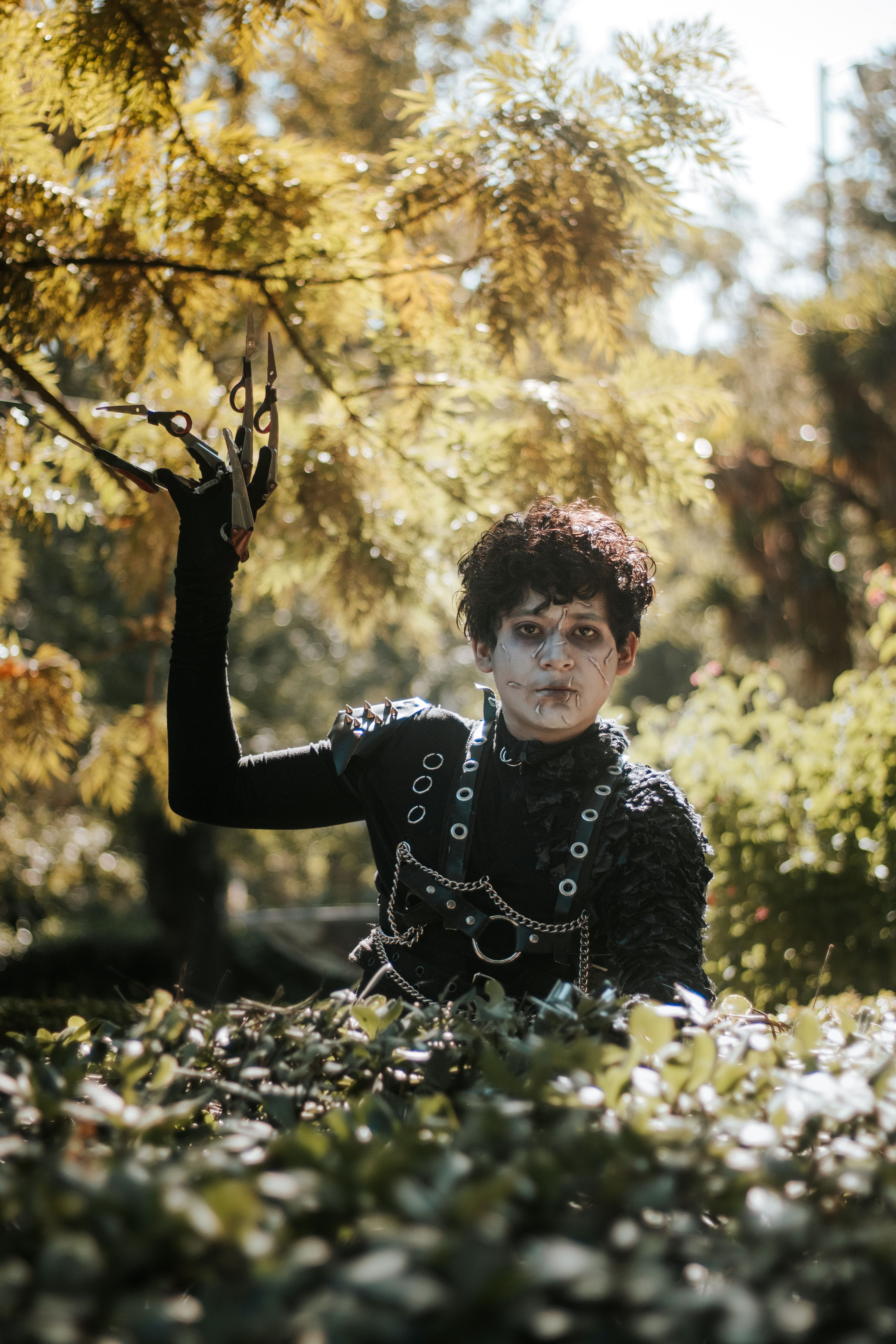 Artistic Portrait in Nature Setting · Free Stock Photo