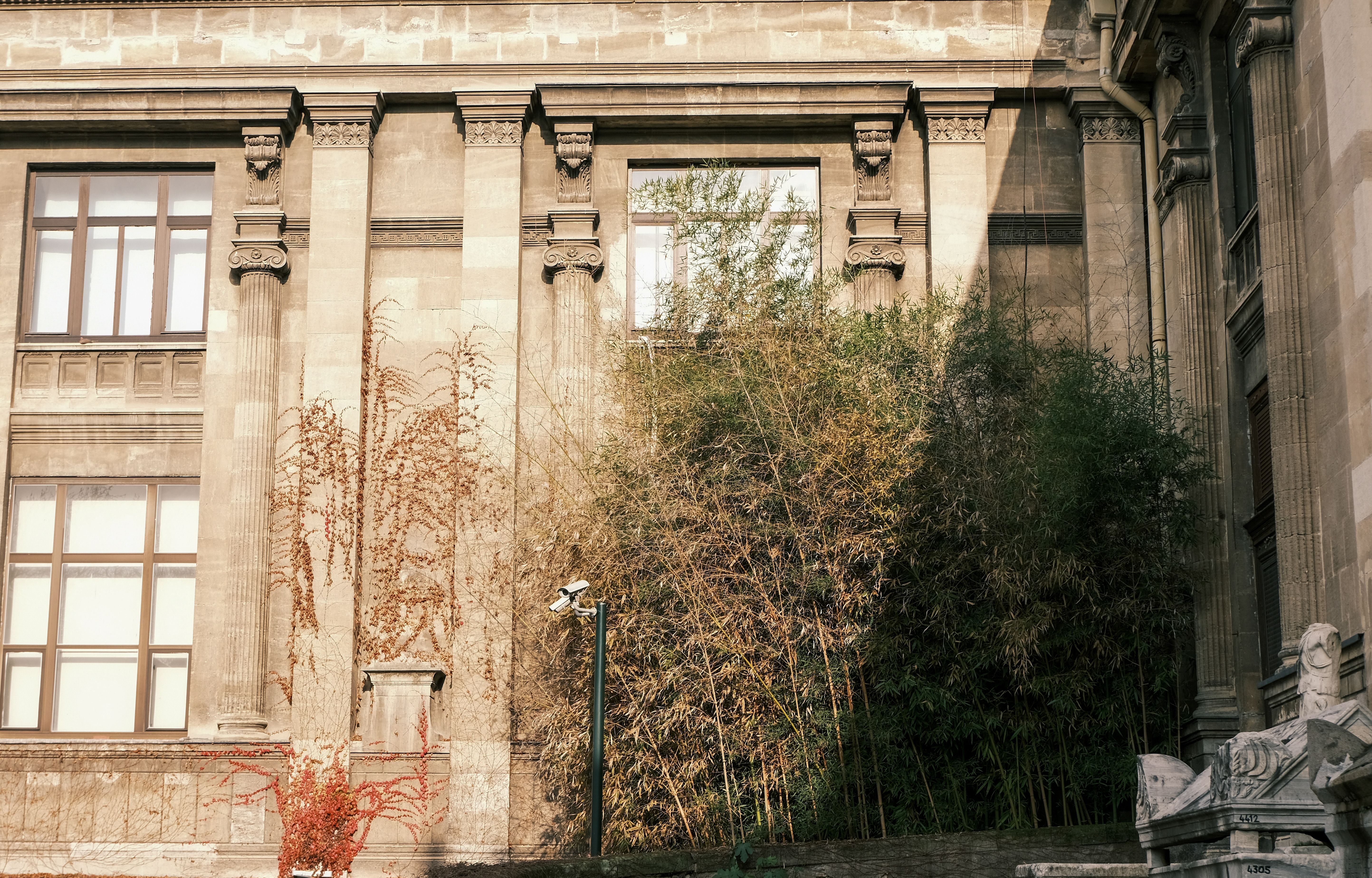 Historic Building Facade with Autumn Foliage · Free Stock Photo