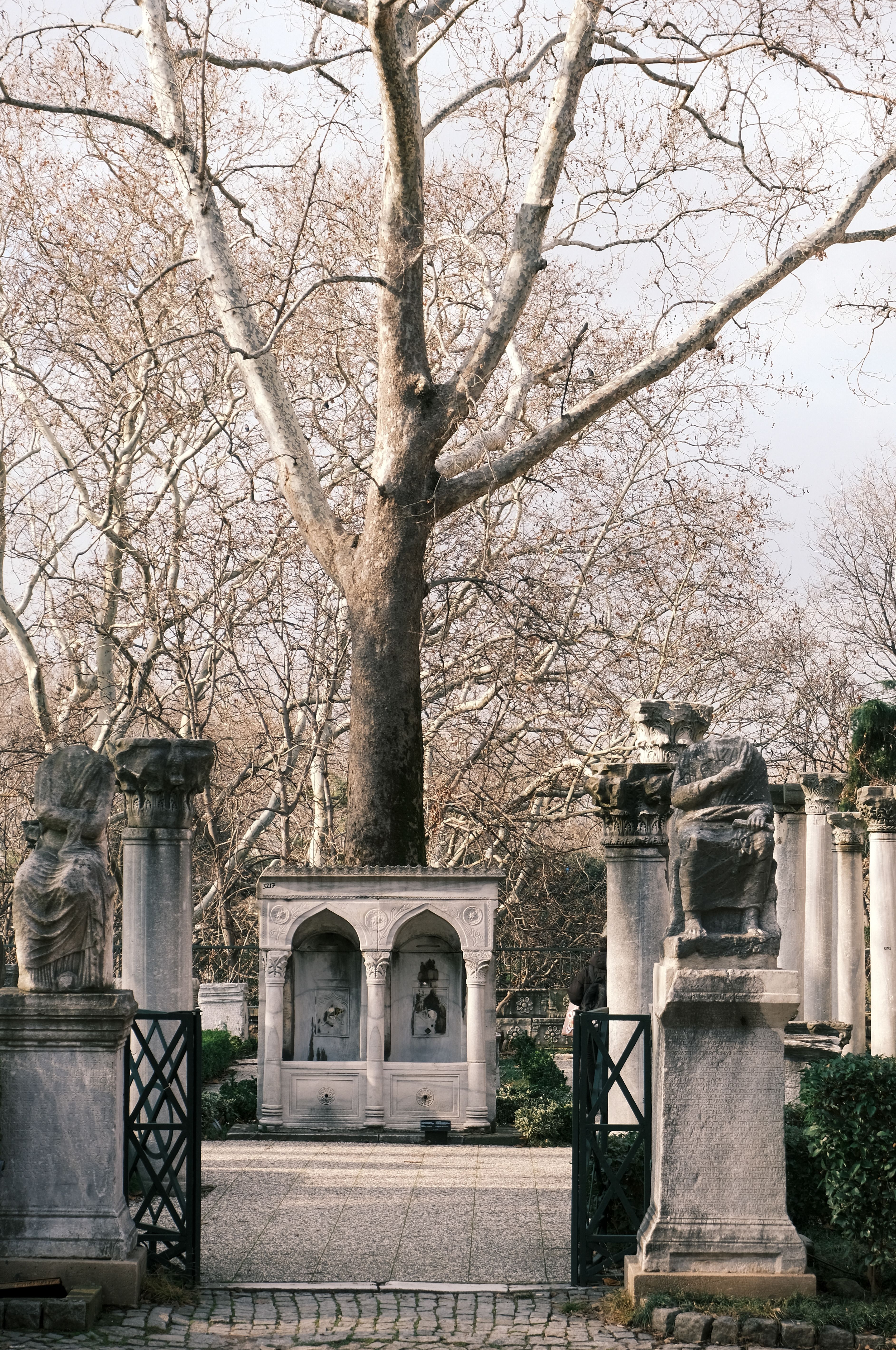 Ancient Statue Garden with Majestic Tree · Free Stock Photo