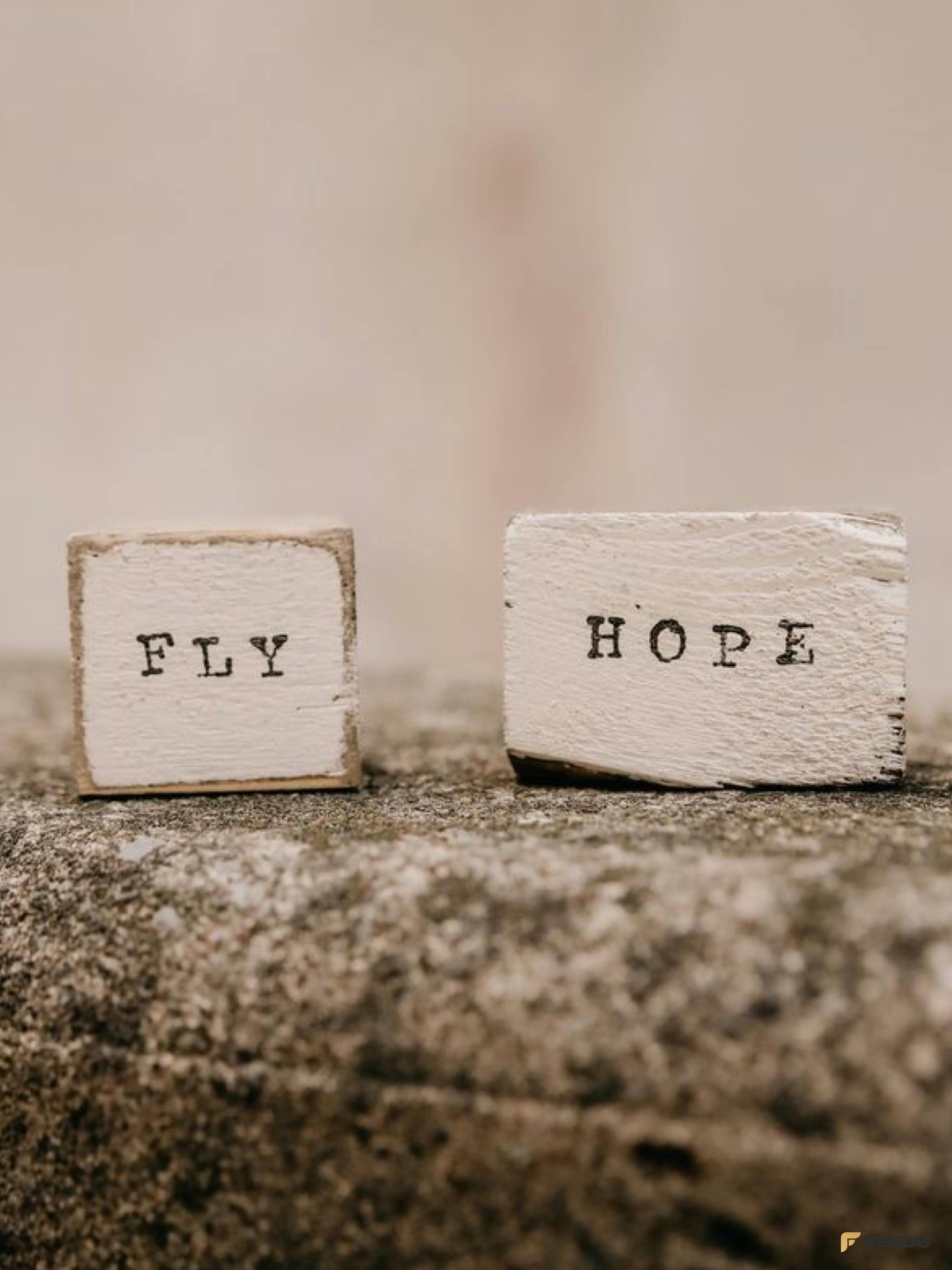 Ingyenes stockfotó ebben a témában: álom, bátorítás, befelé forduló ...