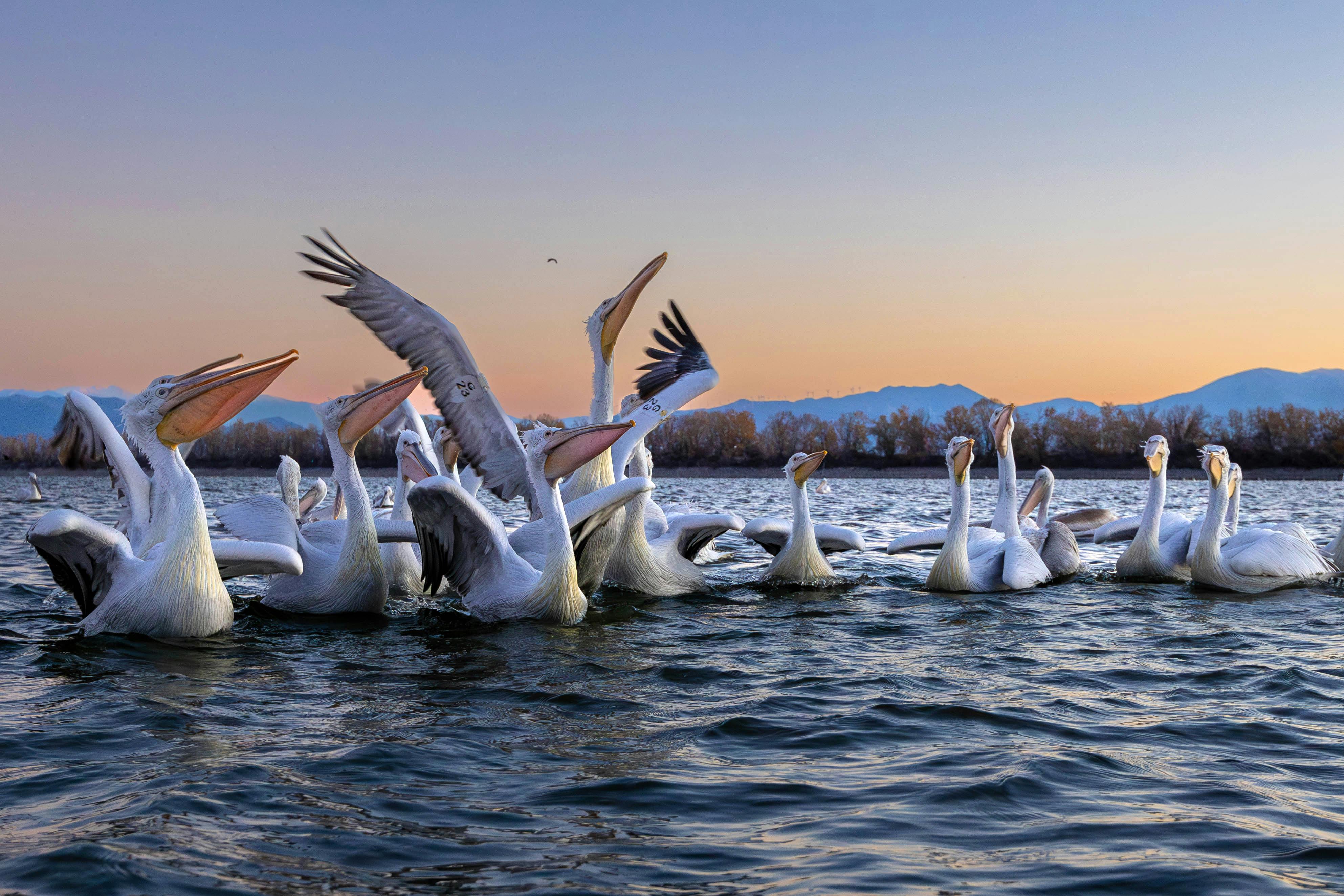 Guida Group Photos, Download The BEST Free Guida Group Stock Photos ...