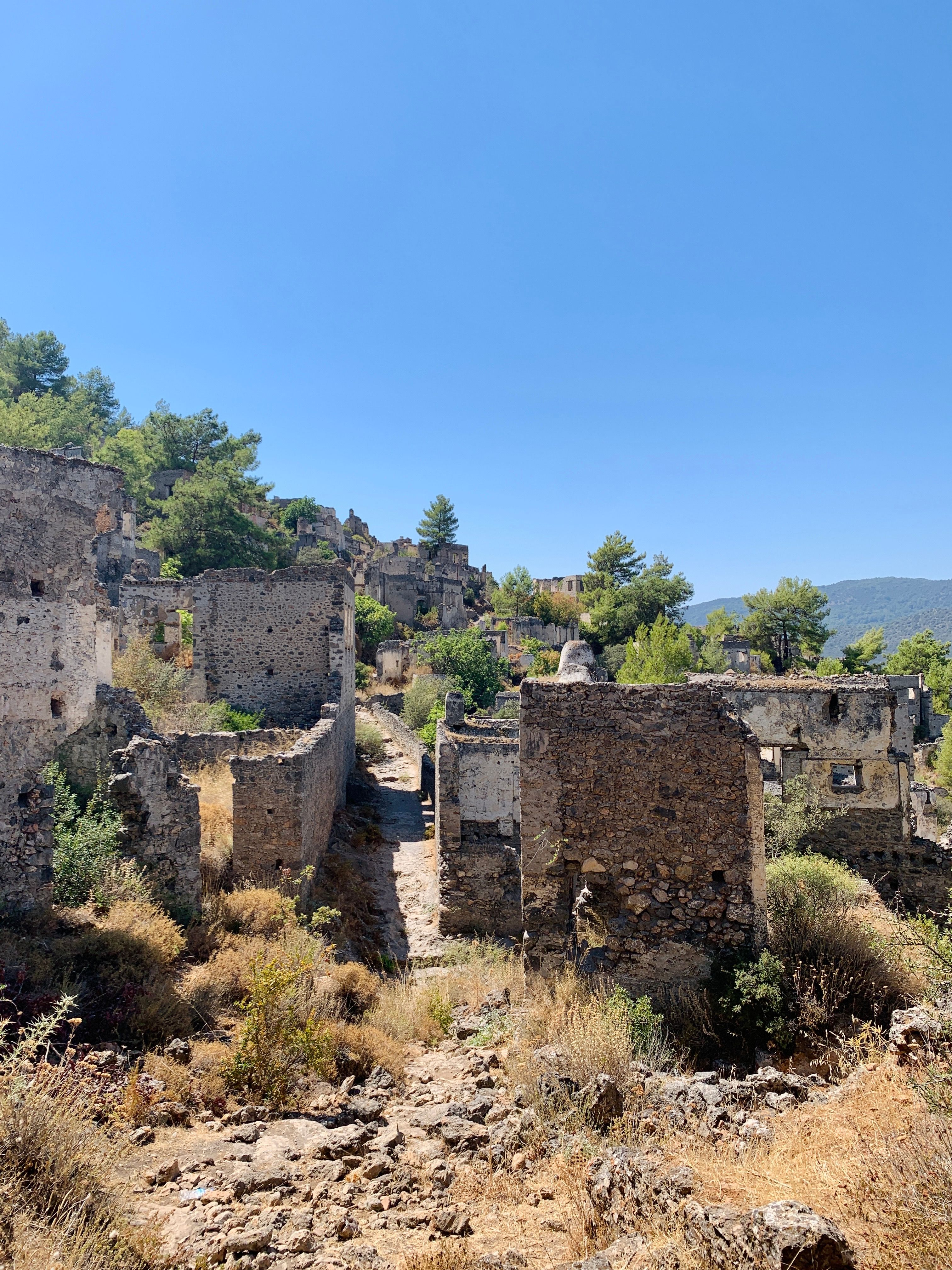 Ancient Ruins Amidst Lush Landscape · Free Stock Photo