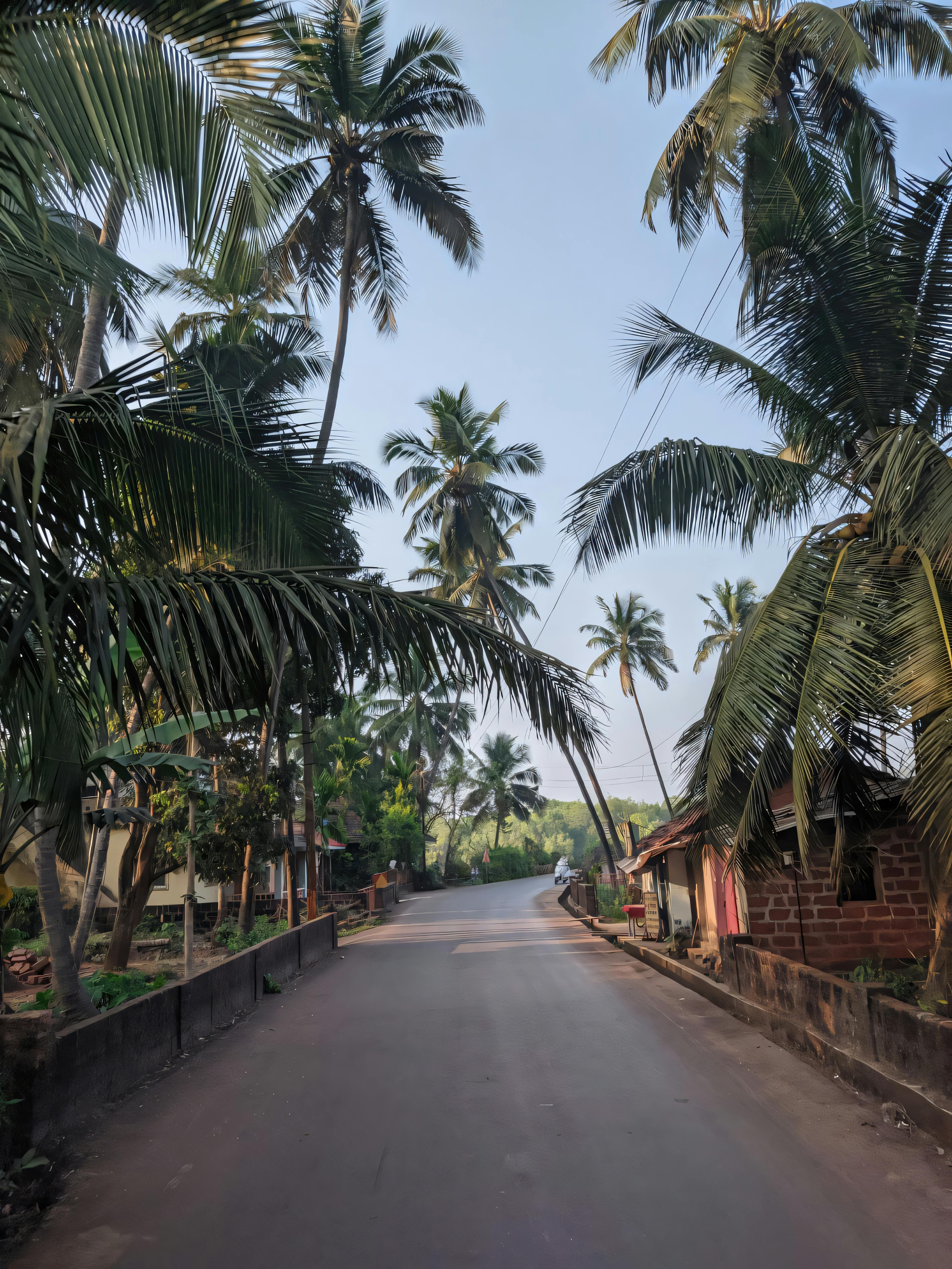 Coconut Diagram Photos, Download The BEST Free Coconut Diagram Stock ...