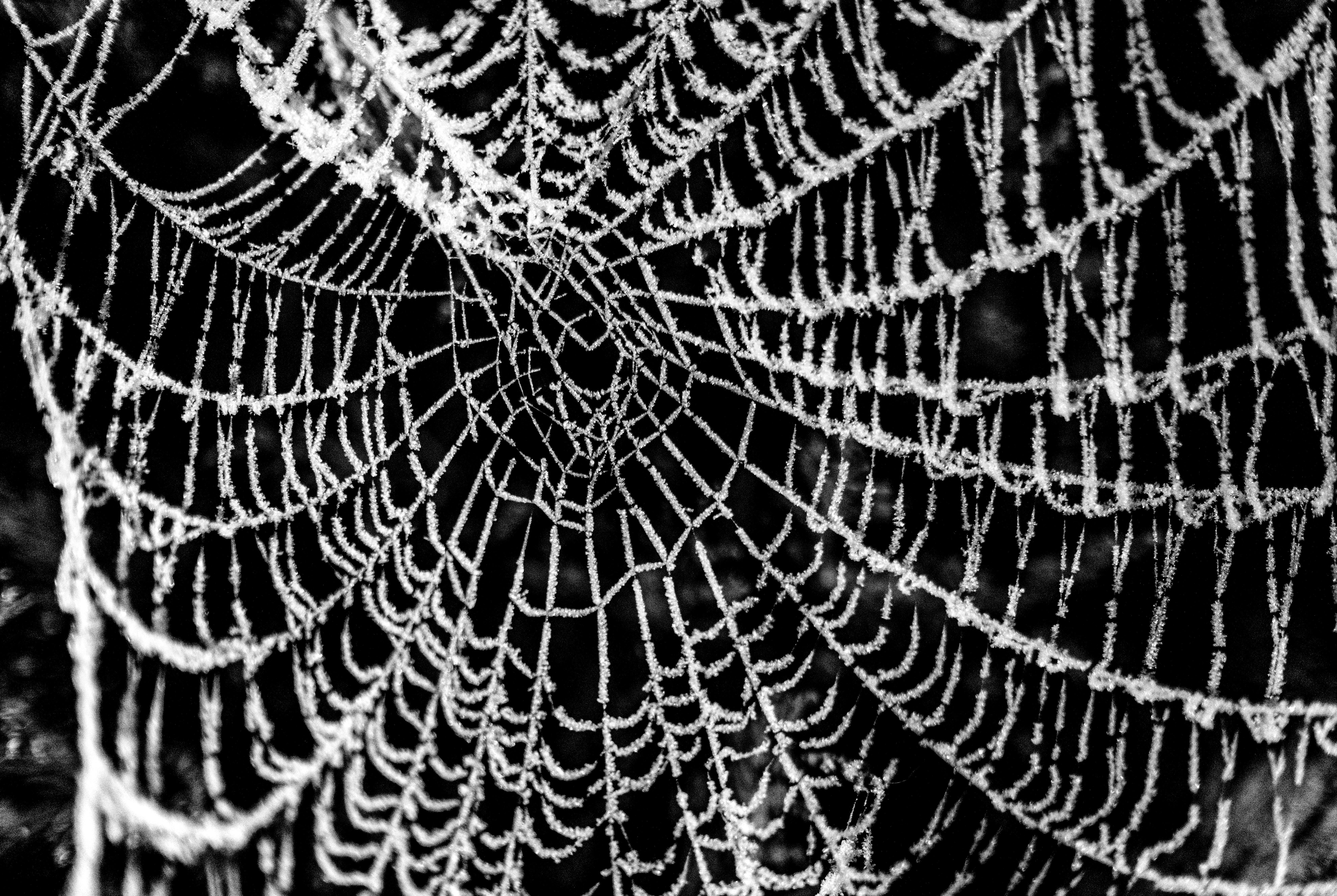 pierre matile - fotografia