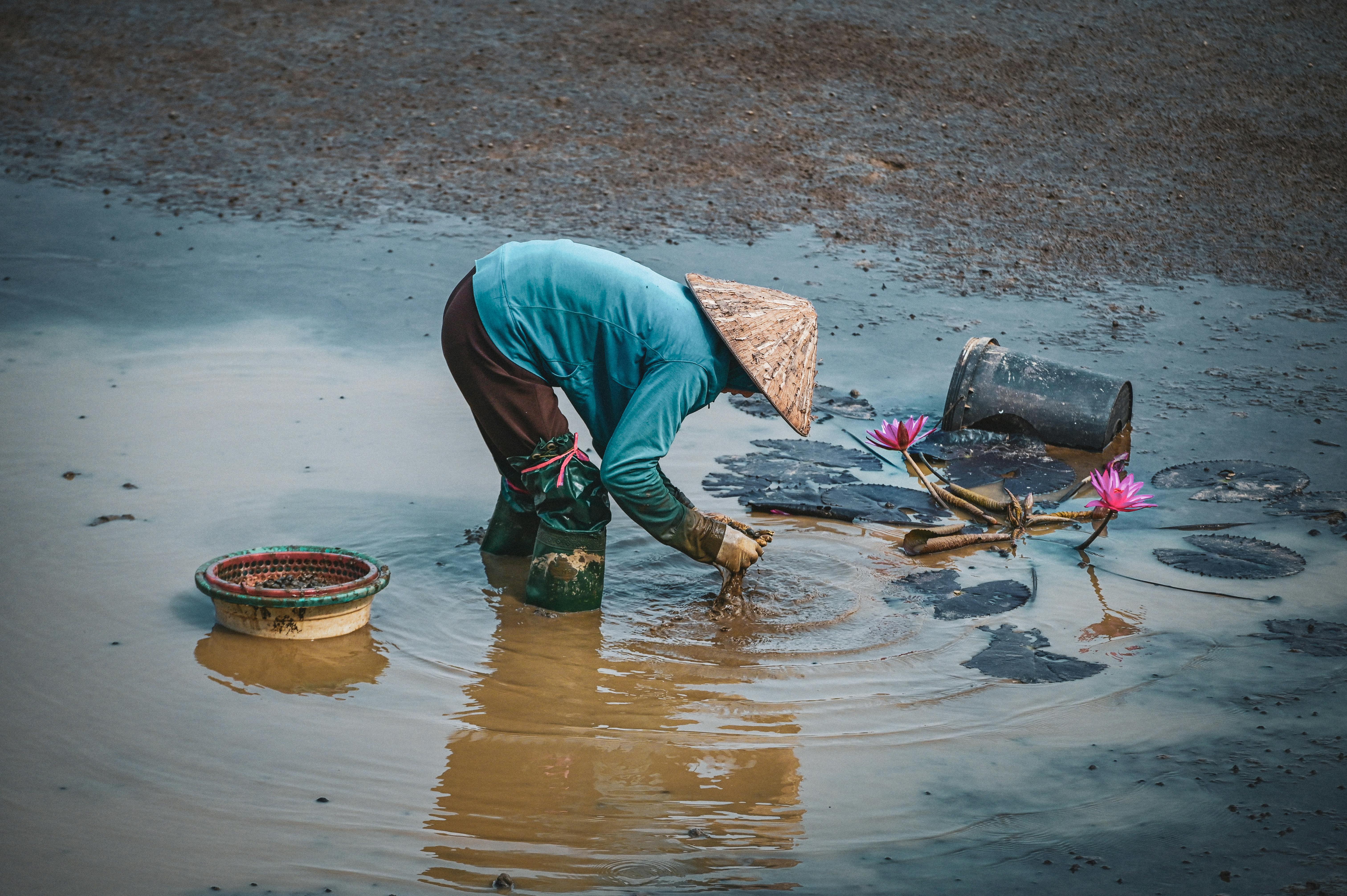 Petani Tradisional Bekerja Di Ladang Berlumpur · Foto Stok Gratis