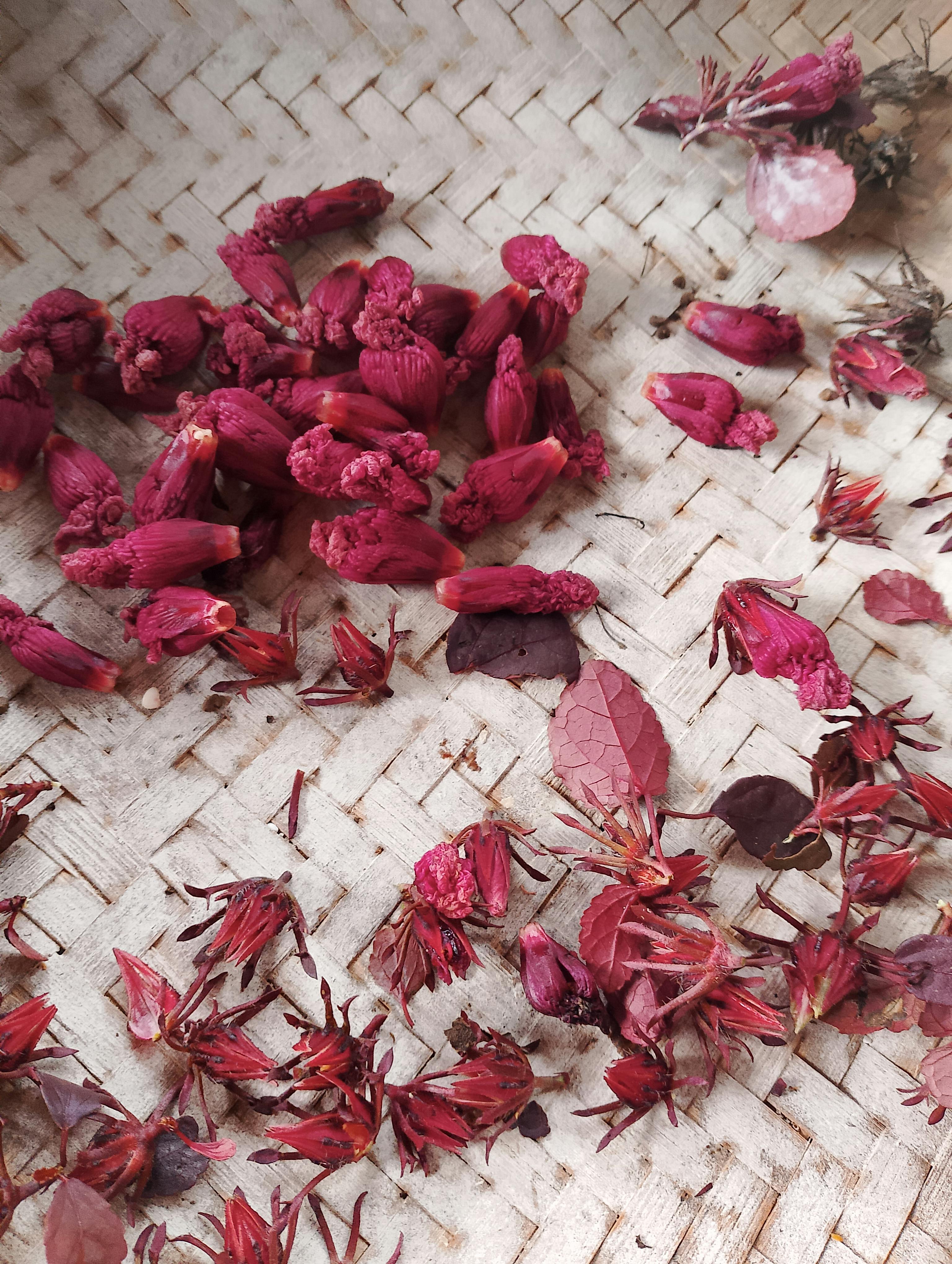 Dried Red Flowers on Woven Basket Surface · Free Stock Photo