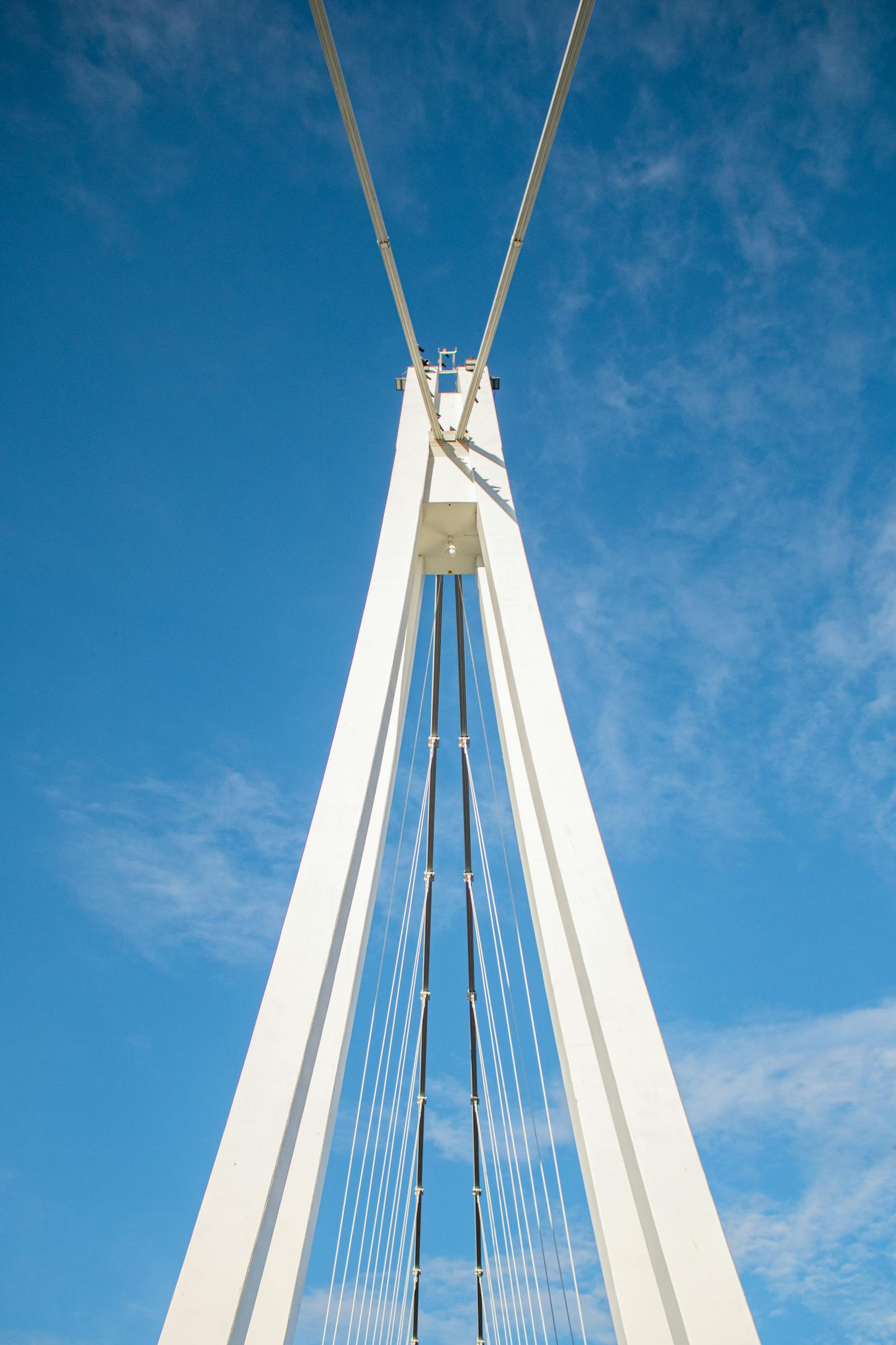 Suspension Bridge Photos, Download The BEST Free Suspension Bridge ...