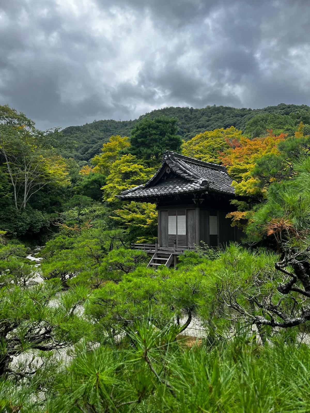 Japan Forest Photos, Download The BEST Free Japan Forest Stock Photos ...