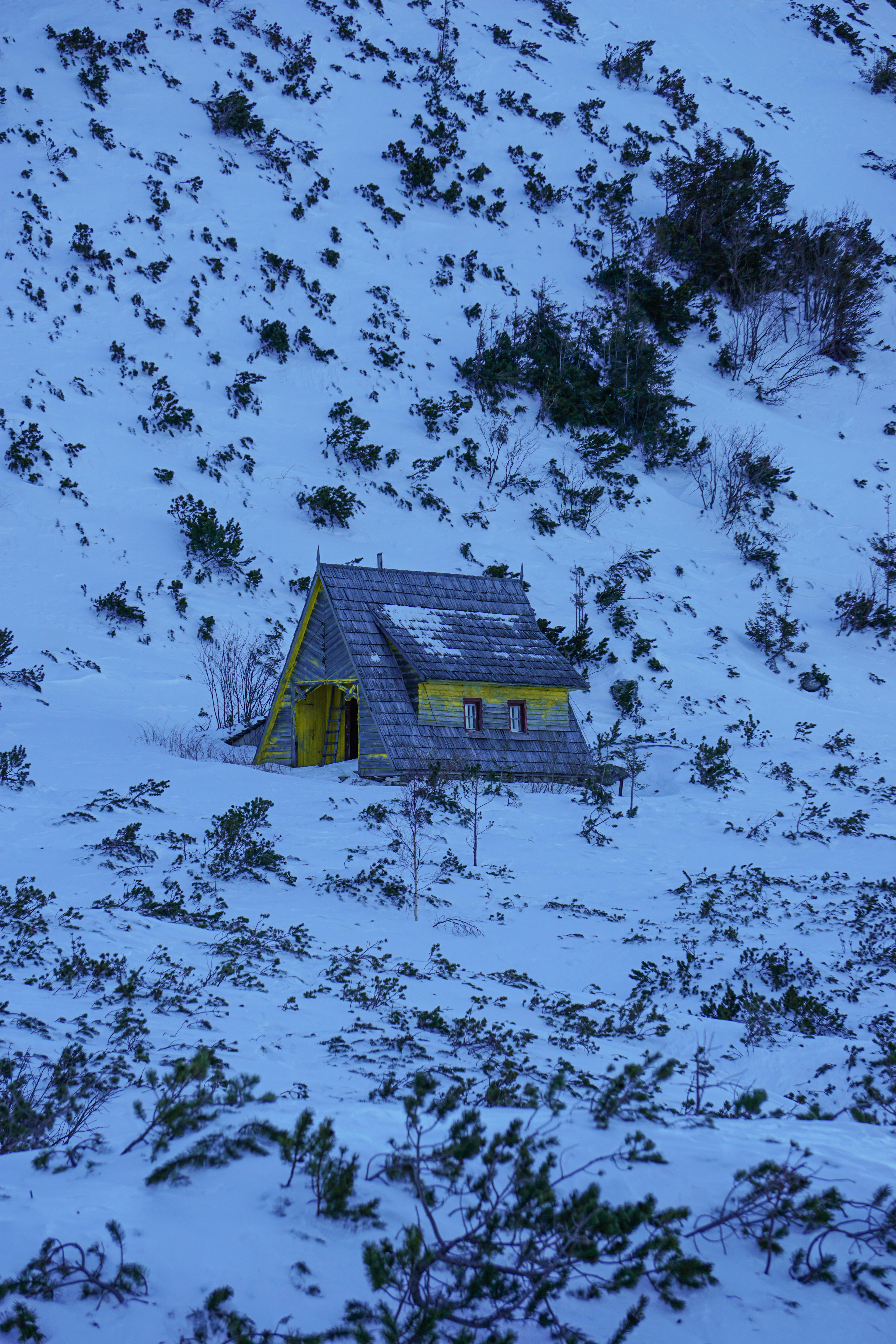 Yellow Cabin Photos, Download The BEST Free Yellow Cabin Stock Photos ...