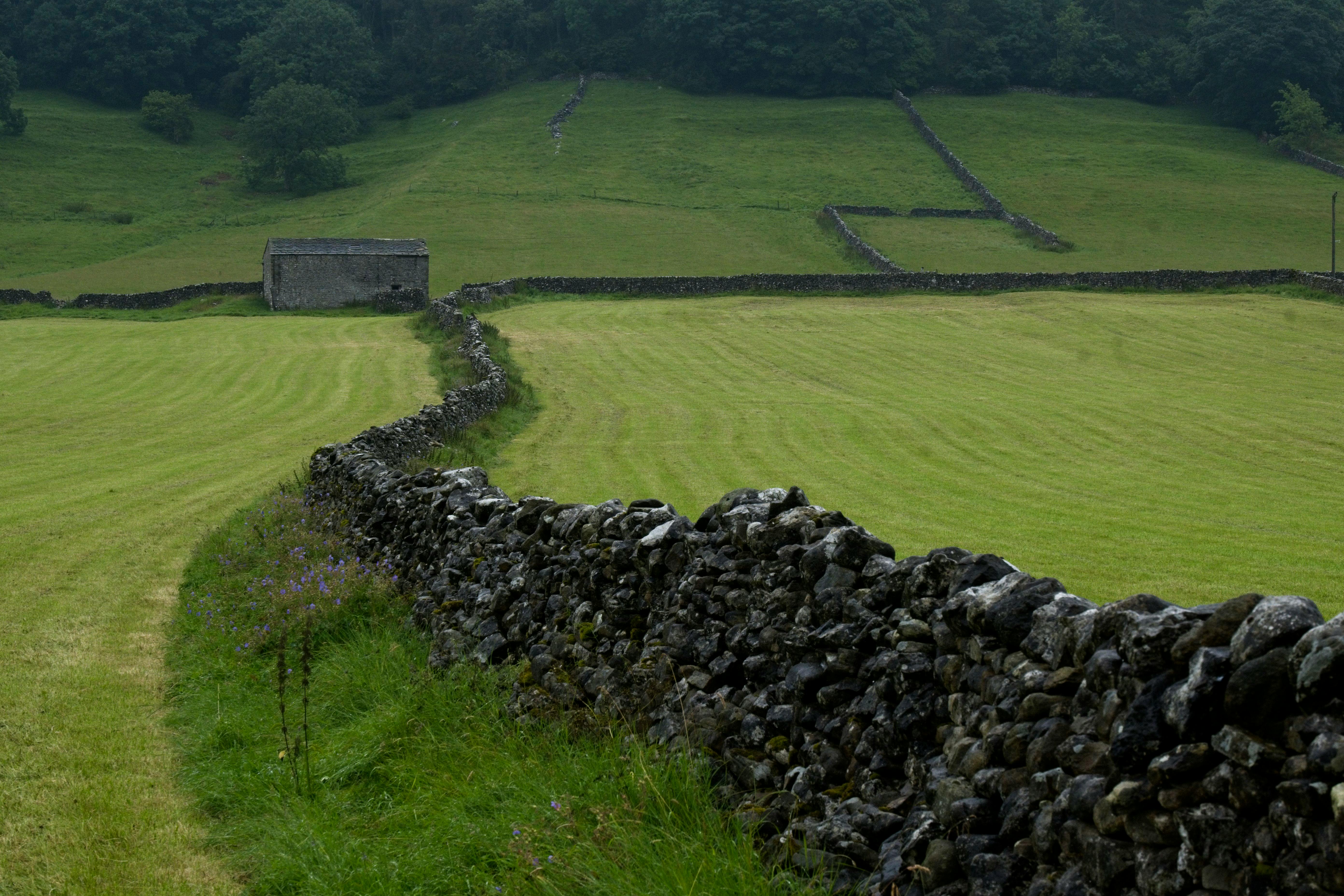 Pastoral Stone Walls in Kettlewell, England · Free Stock Photo
