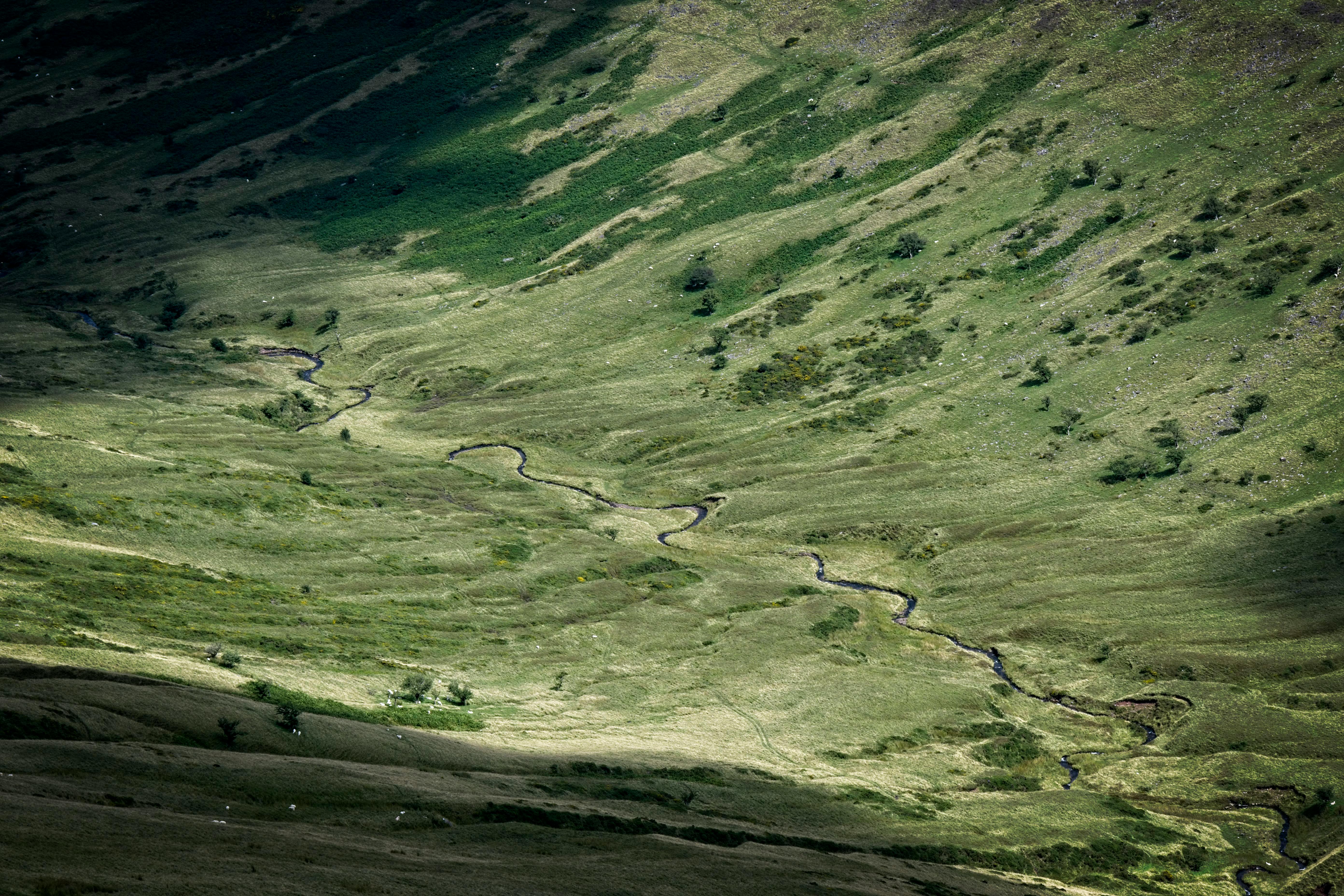 20.000+ melhores imagens de Roll Dal · Download 100% grátis · Fotos ...