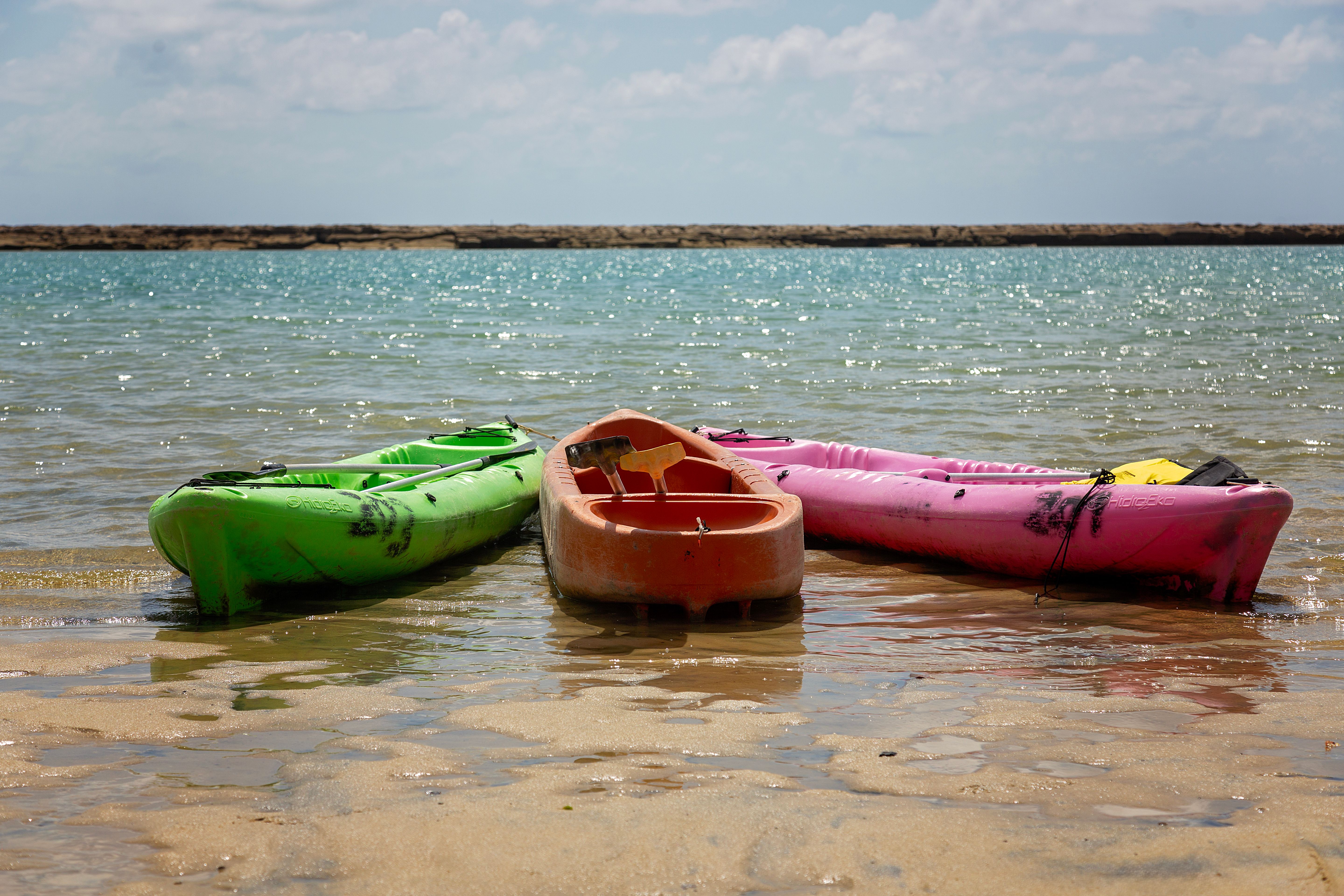 Enjoyment Beach Photos, Download The BEST Free Enjoyment Beach Stock ...